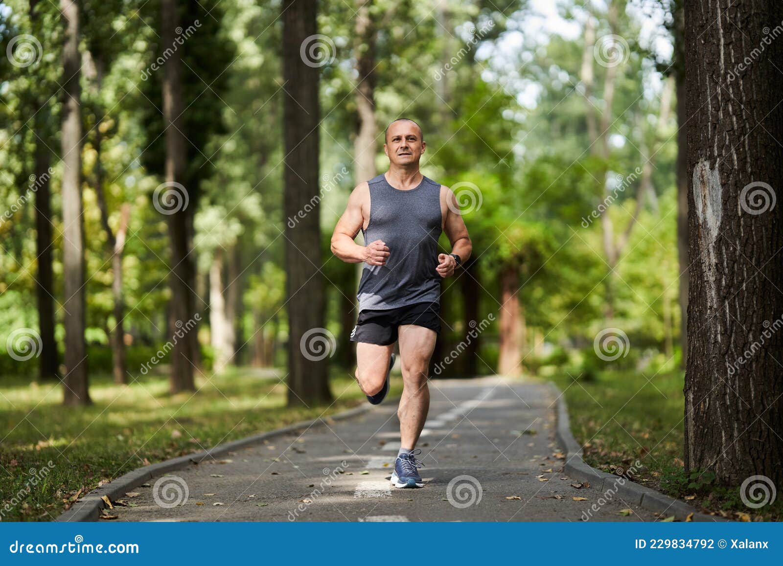 Long Distance Runner Training in the Park Stock Photo - Image of effort ...