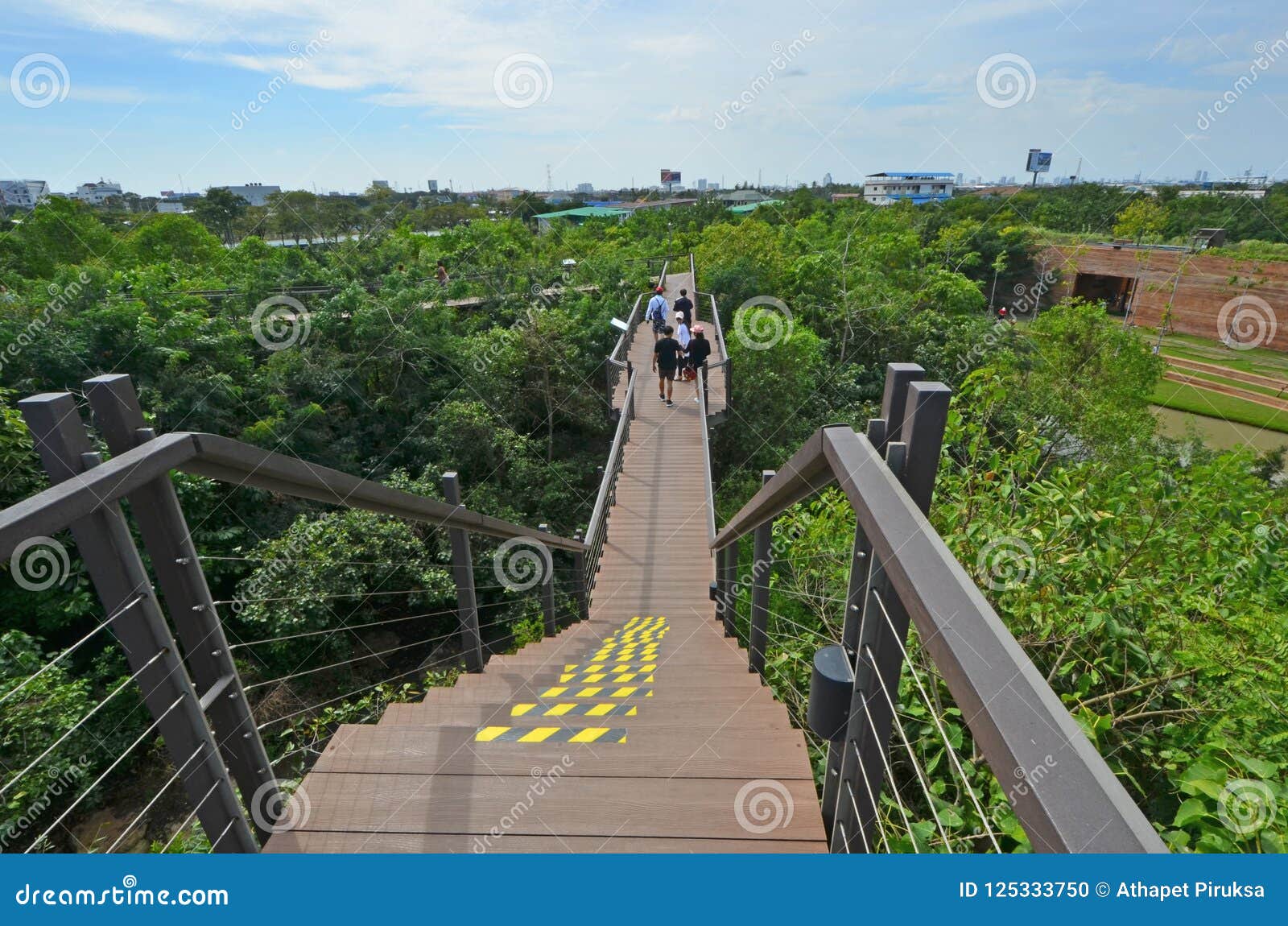 Long Down Stairs and Bridge Way for Natural Education Editorial Image ...