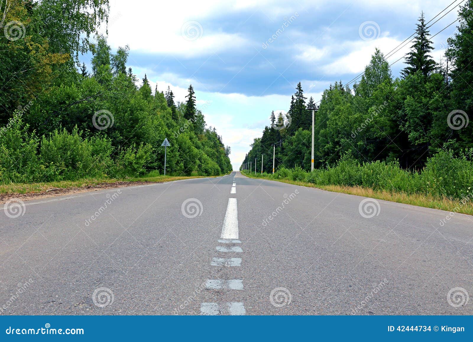 Long driveway stock photo. Image of nature, highway, objective - 42444734