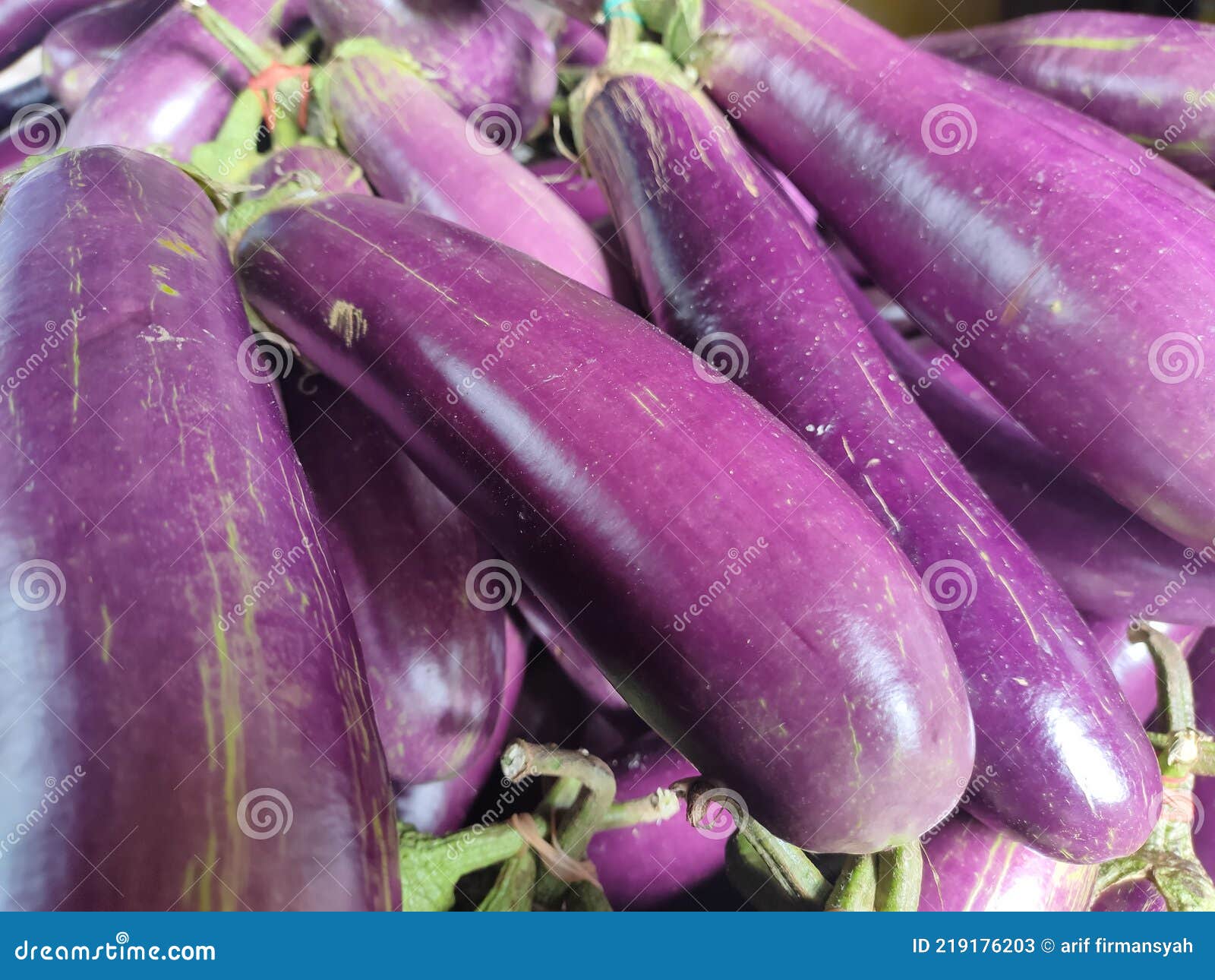 Long Eggplant and fresh stock image. Image of pink, purple - 219176203