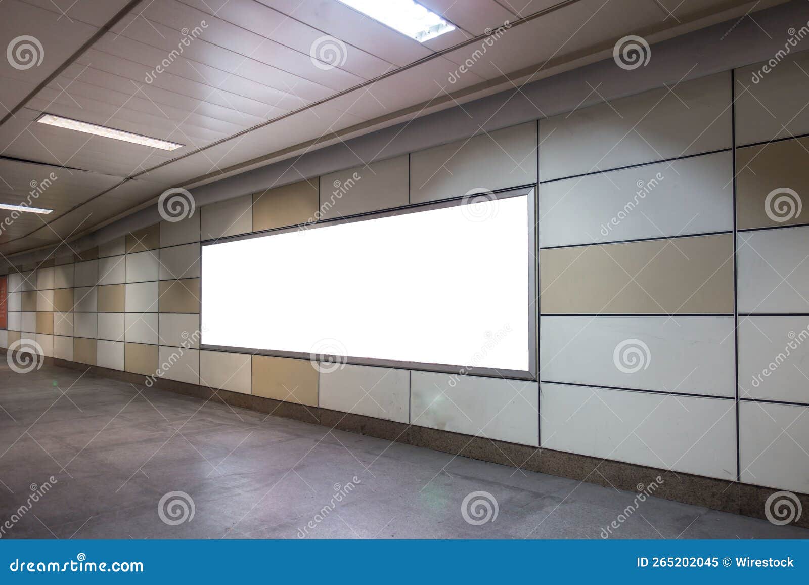 Long Empty Hallway with White Screens on the Wall Stock Image - Image ...