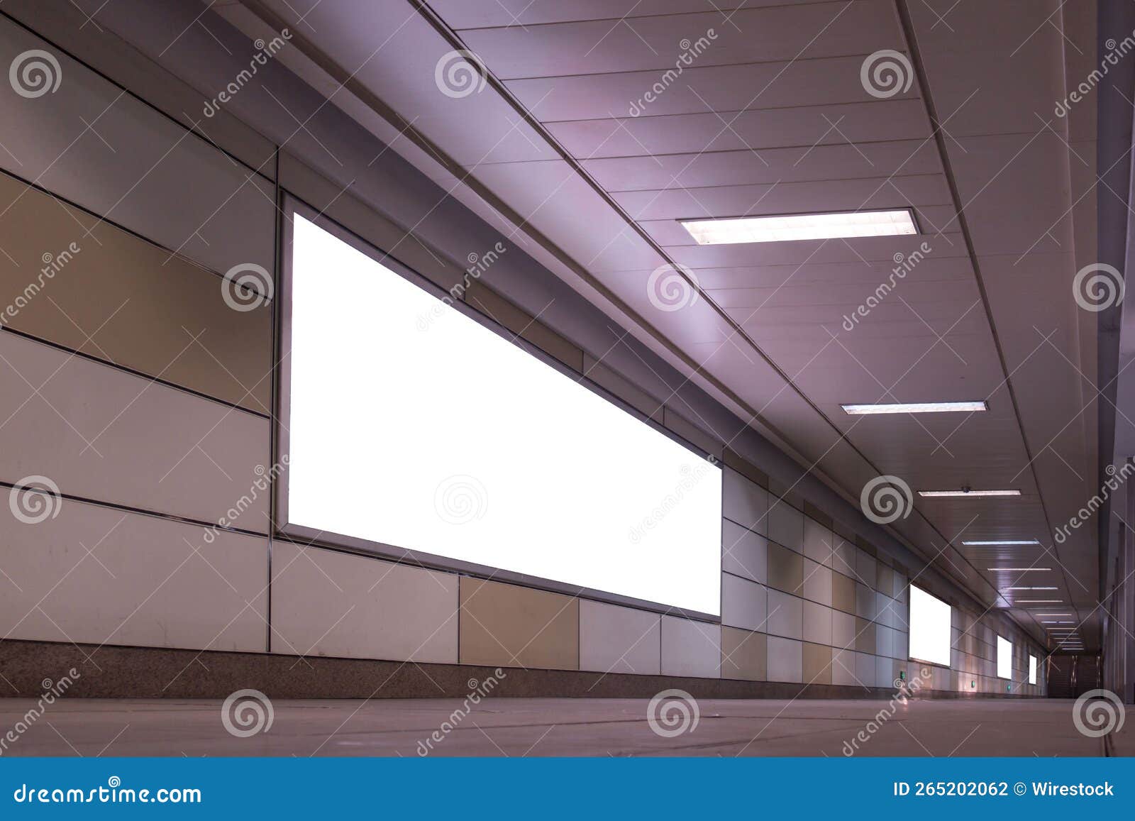 Long Empty Hallway with White Screens on the Wall Stock Photo - Image ...