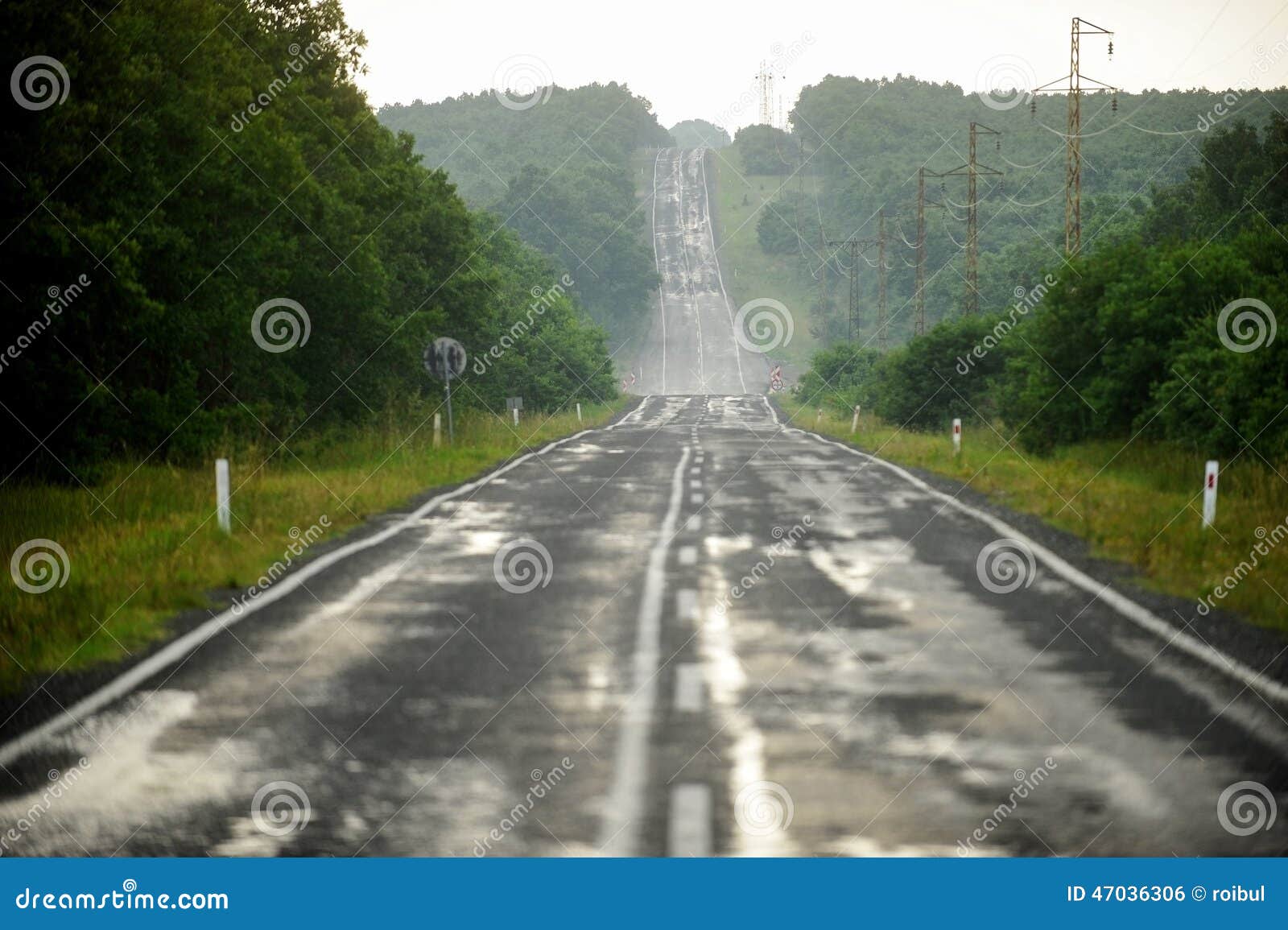 Long and empty highway stock photo. Image of drive, forest - 47036306