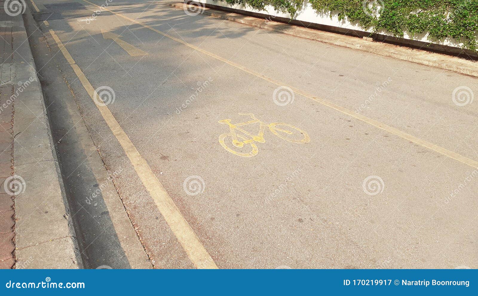 The Long and Empty Path in the Park Stock Image - Image of beauty ...