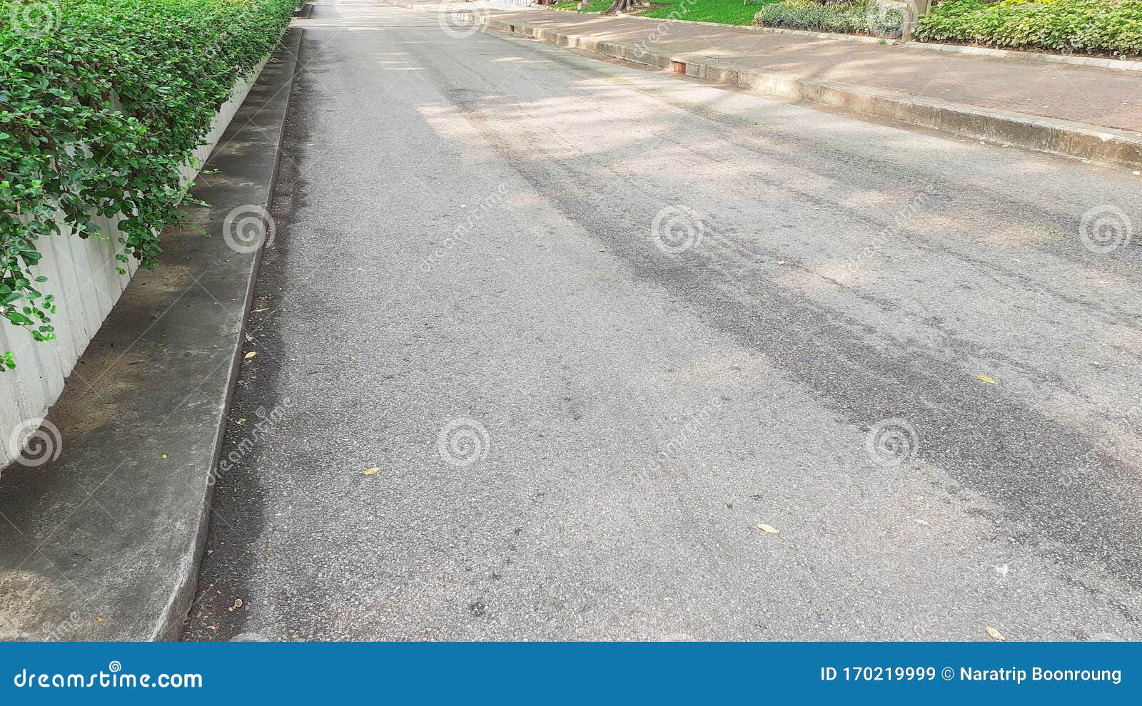 The Long and Empty Path in the Park Stock Image - Image of front, path ...