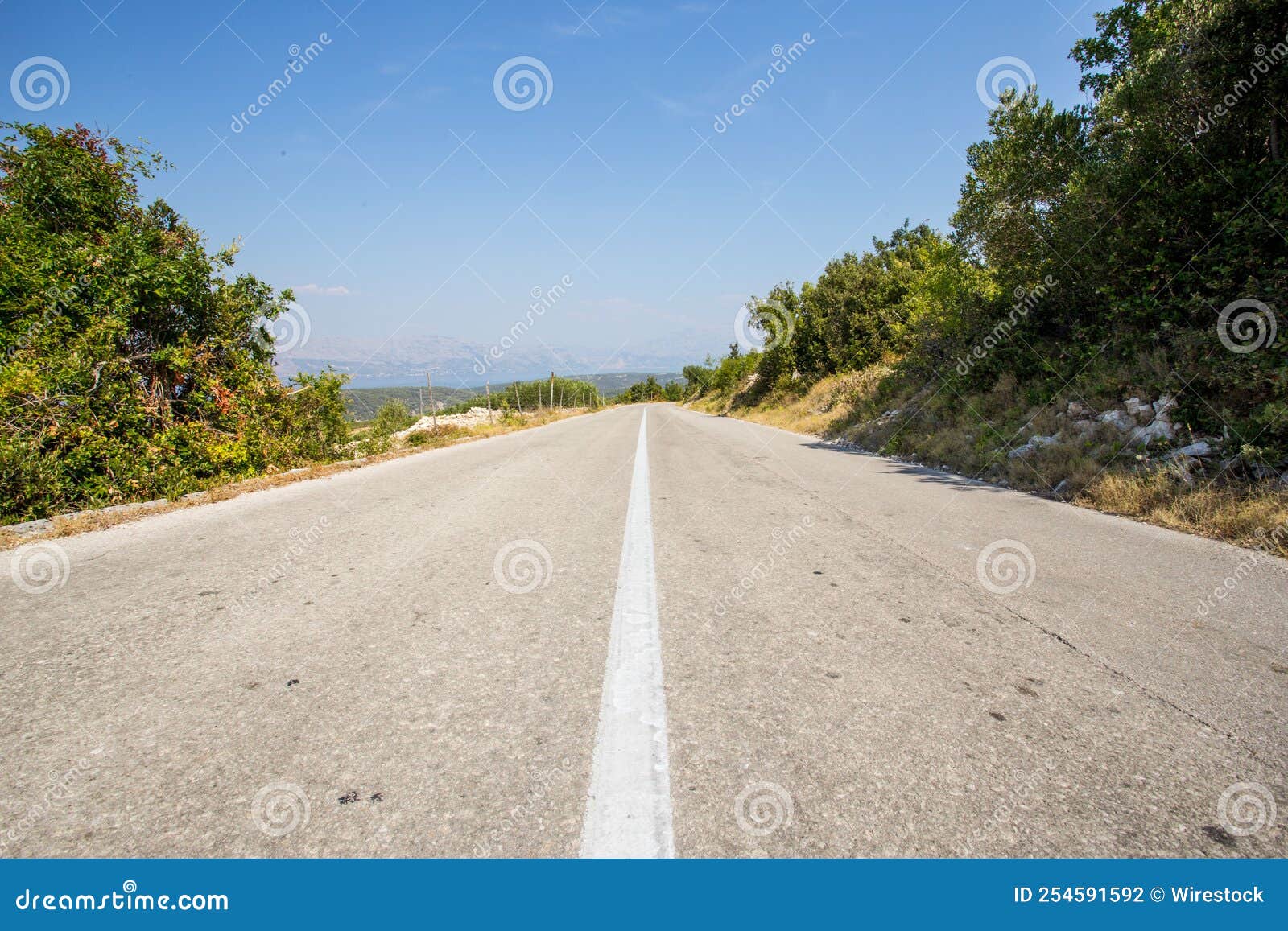 Long Empty Road Surrounded with Trees Under Sunlight Stock Photo ...