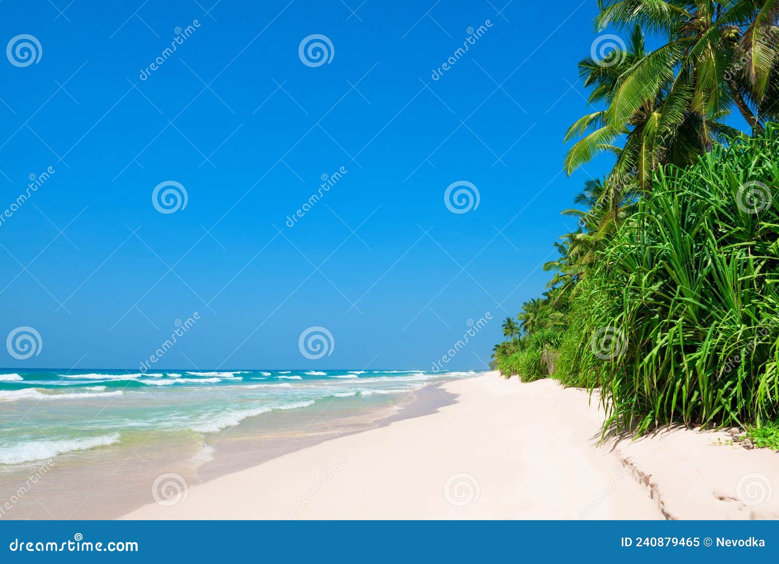 Long Empty Tropical Ocean Beach Stock Image - Image of jamaica, hawaii ...