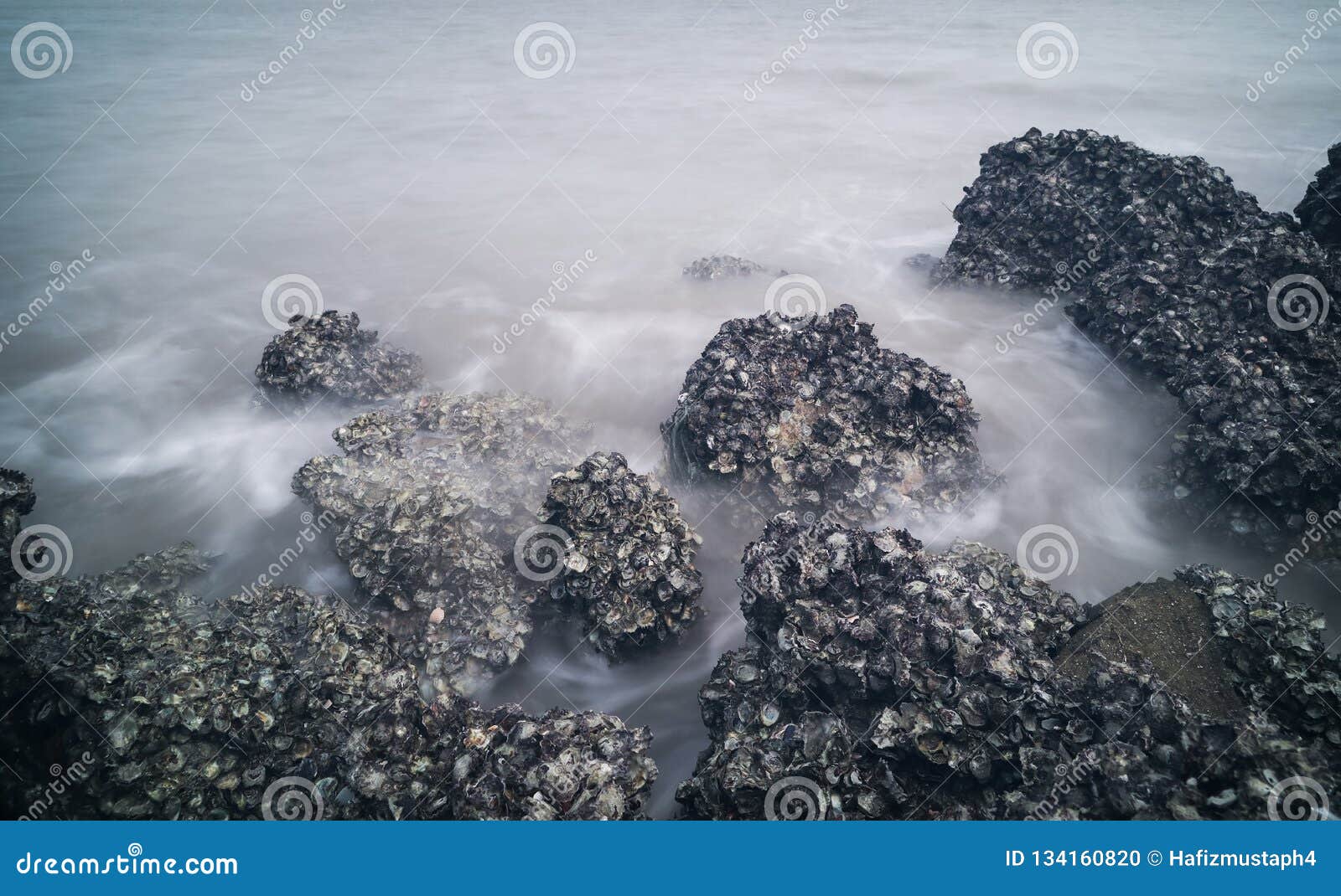 Long Exposure Barnacles on the Rock by the Seaside. Stock Photo - Image ...