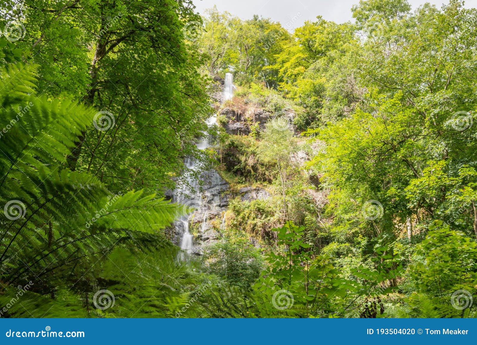 Canonteign falls stock photo. Image of horizontal, cascade - 193504020