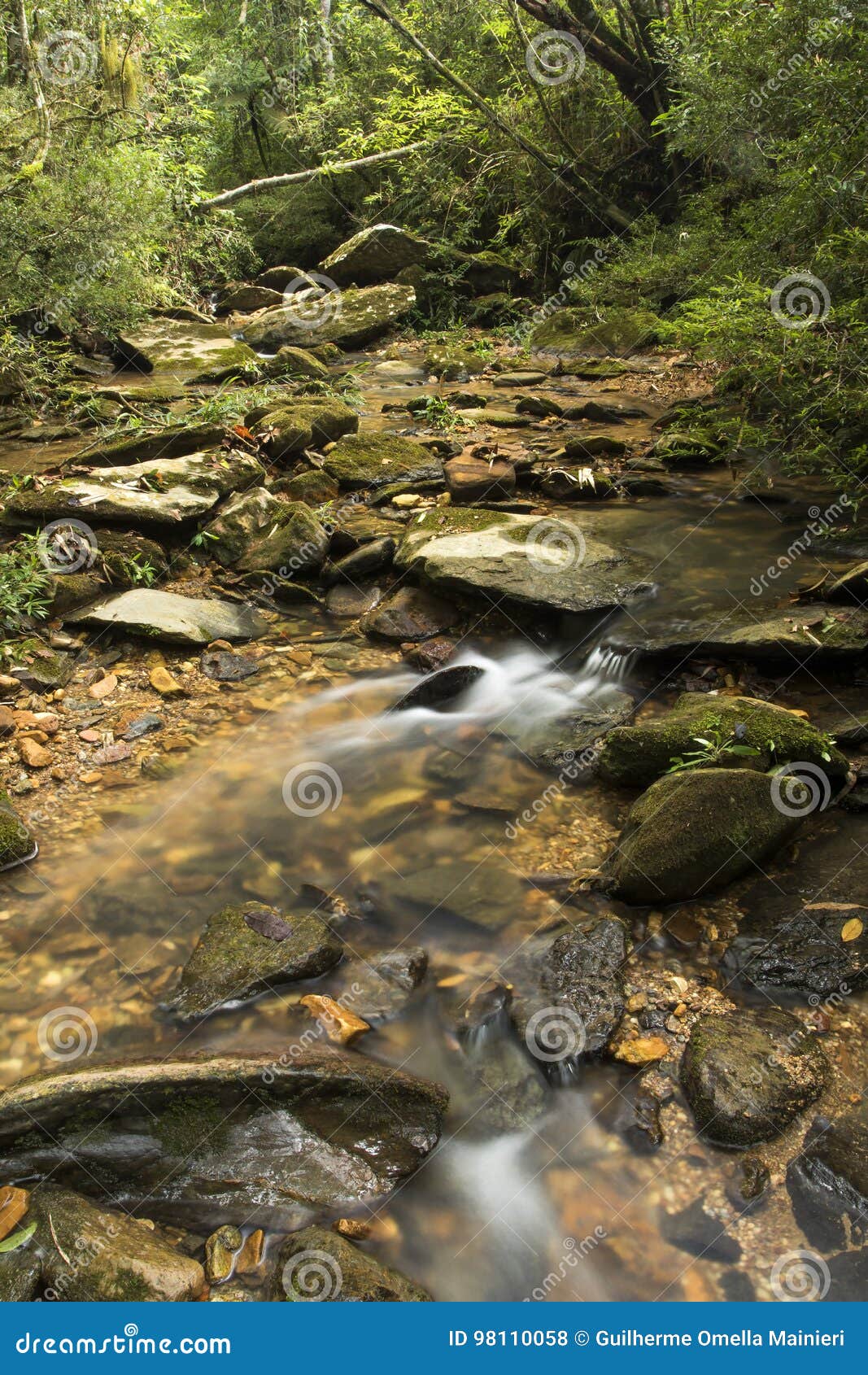 Long Exposure Creek Running among the Rocks in the Middle of a Dense ...