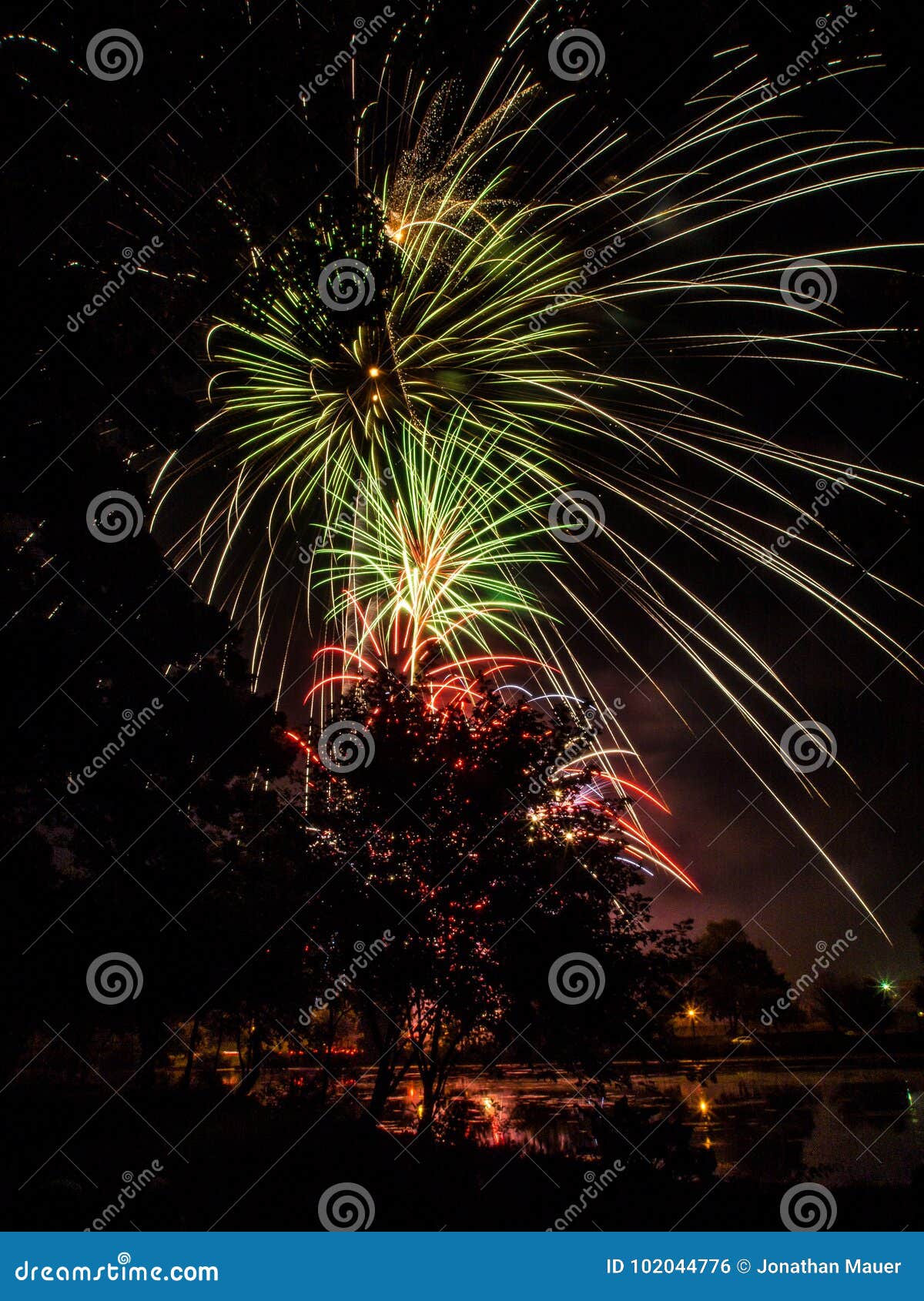 Firework Display with Tree Silhouette Stock Photo - Image of green ...