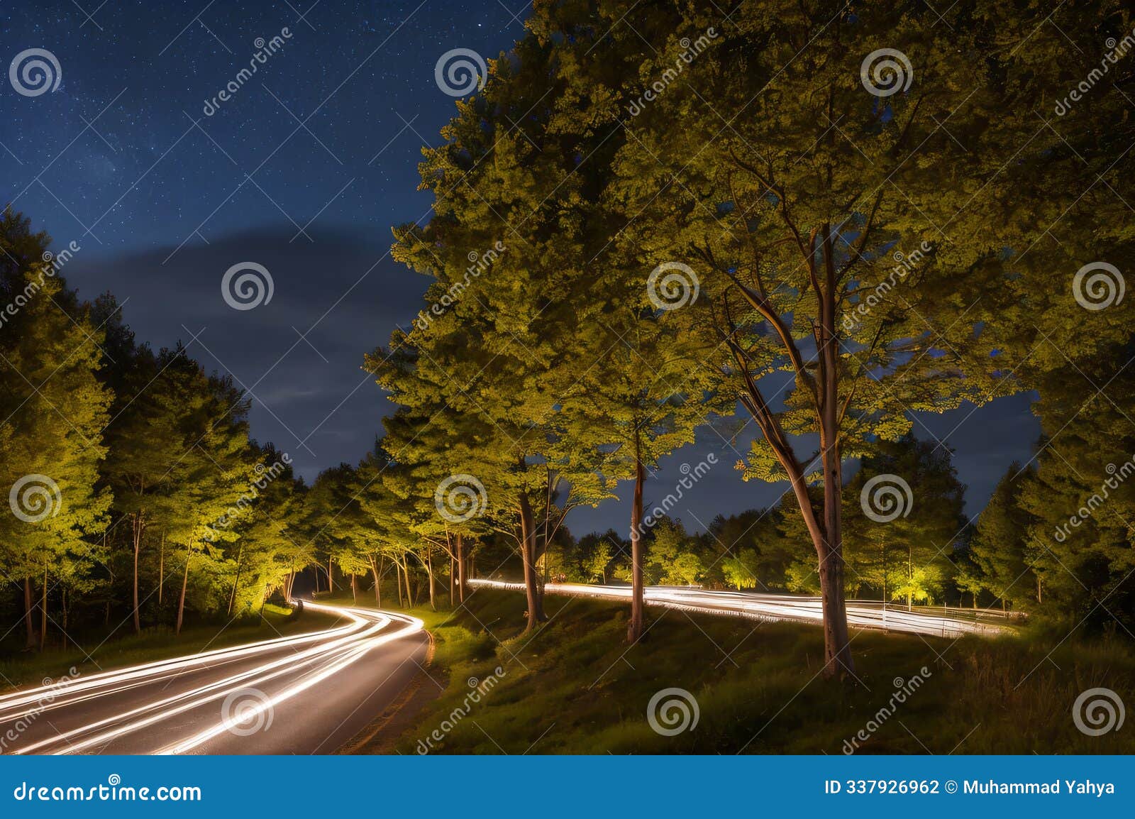 Long Exposure Image of a Rural Village Road at Night Stock Illustration ...