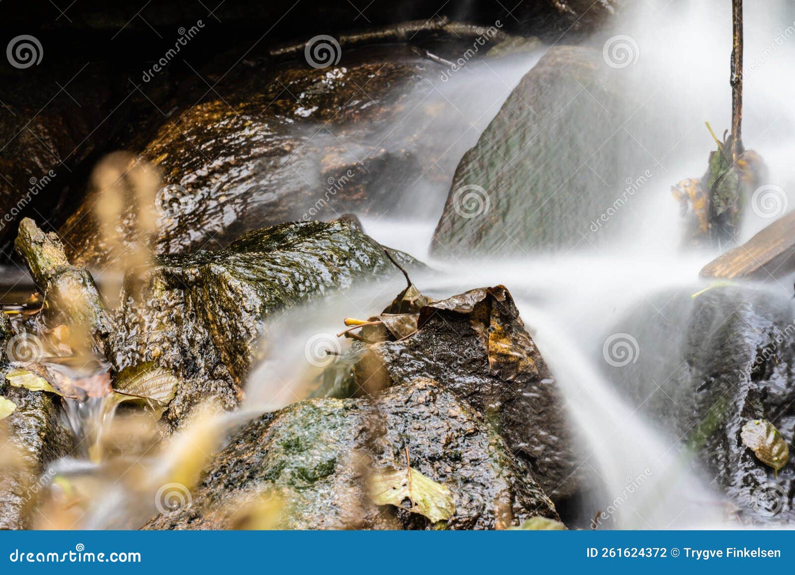 Long Exposure Image of Water in a Small Stream.. Stock Photo - Image of ...