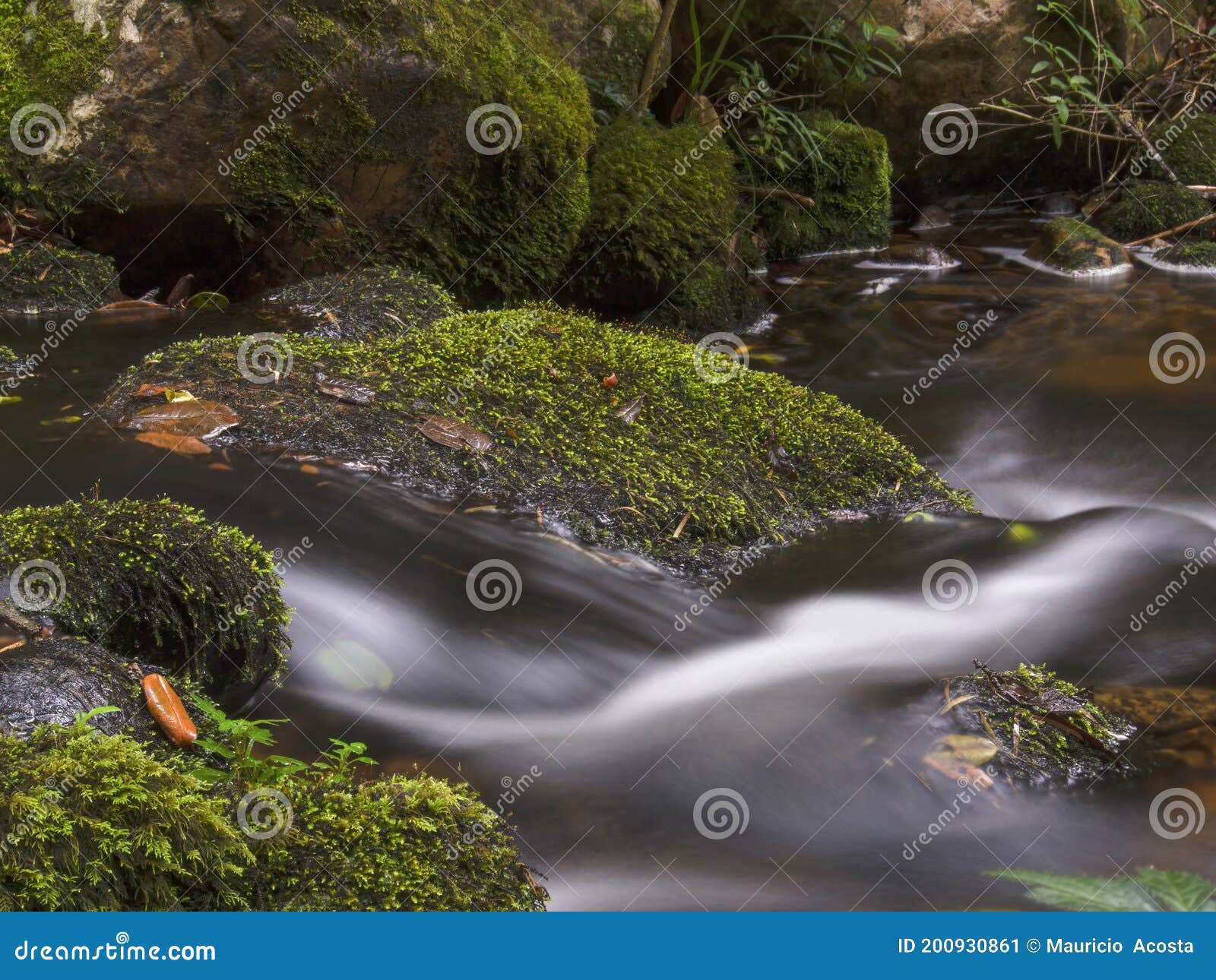 Long-exposure Images of the Stream of a Brook X Stock Image - Image of ...