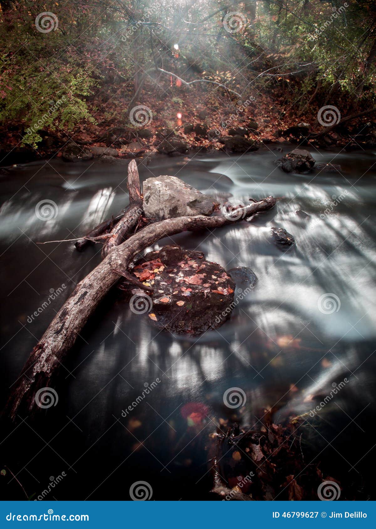 Long Exposure Log in Stream Stock Image - Image of long, filtering ...