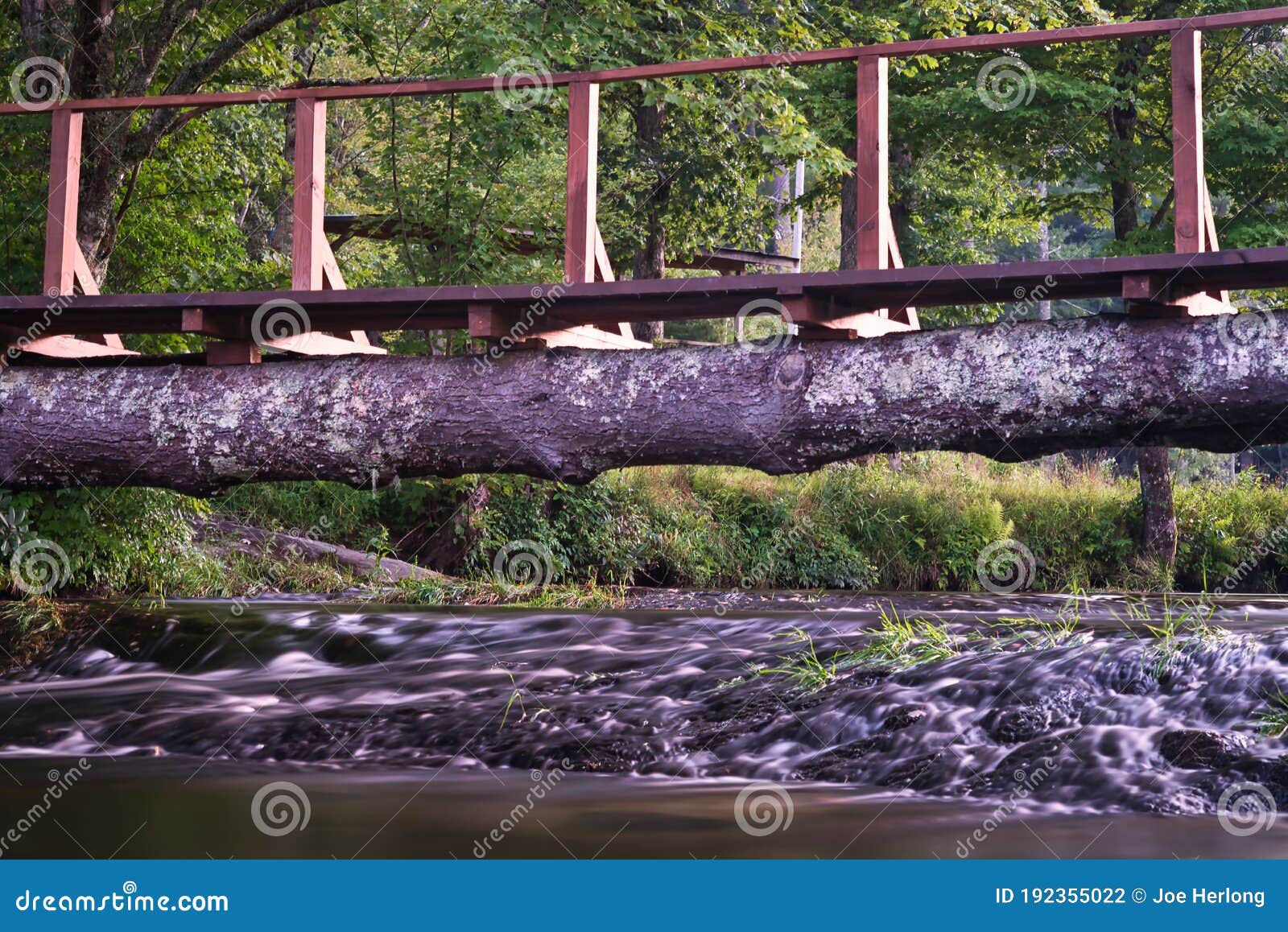 A Long Exposure of a Mountain Stream Flowing Under a Log Bridge. Stock ...