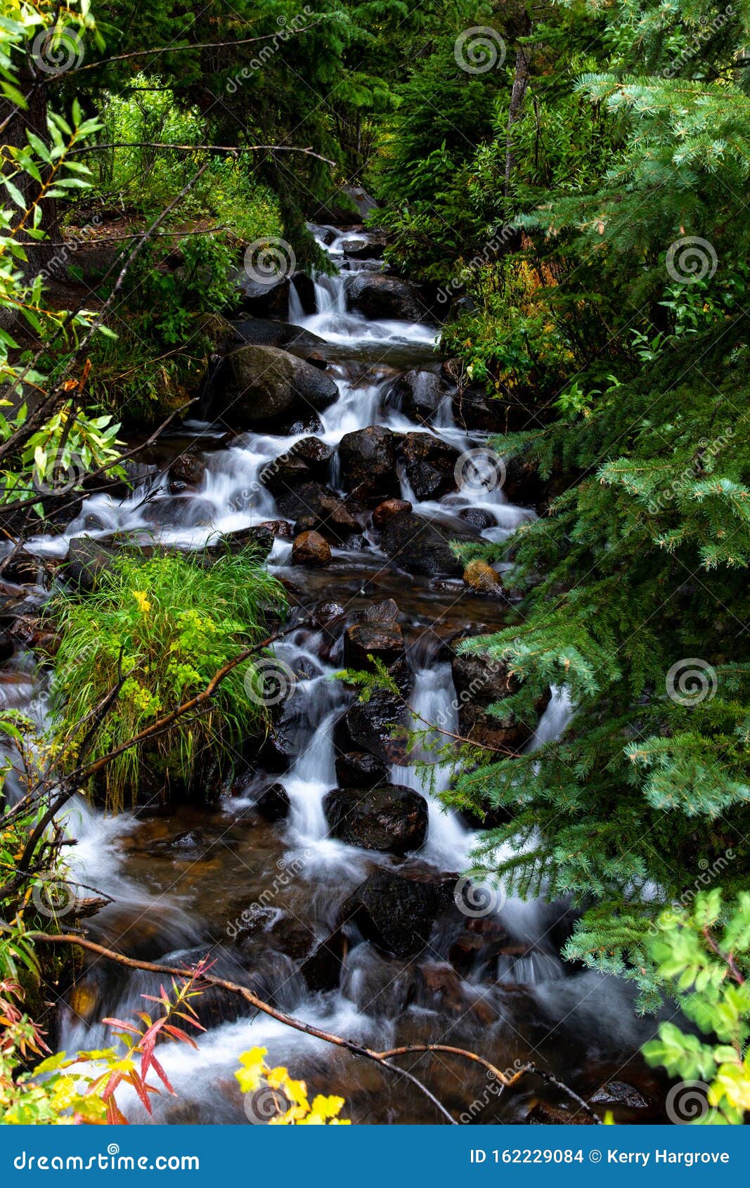 A Beautiful Stream Flowing in the Forest Stock Photo - Image of ...