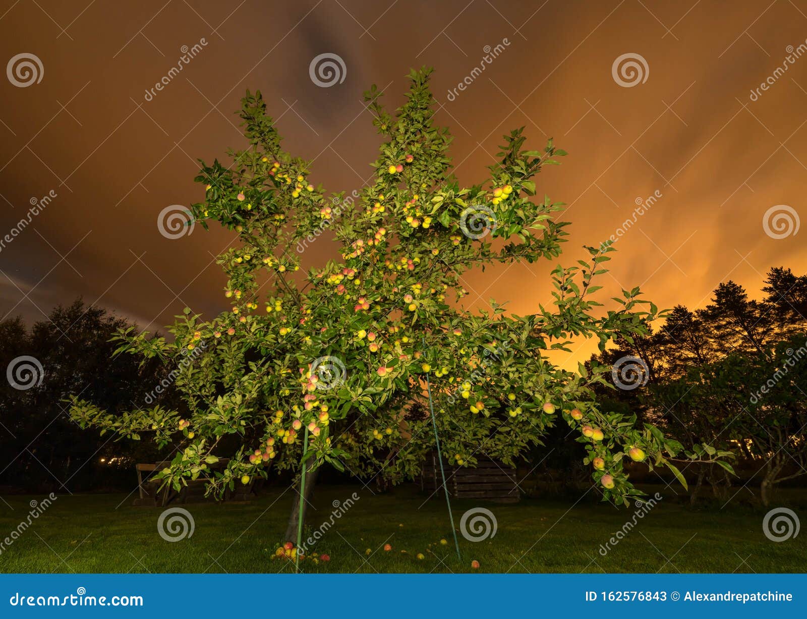 Long Exposure Night Photo of Apple Tree and Dark Heavy Clouds Stock ...