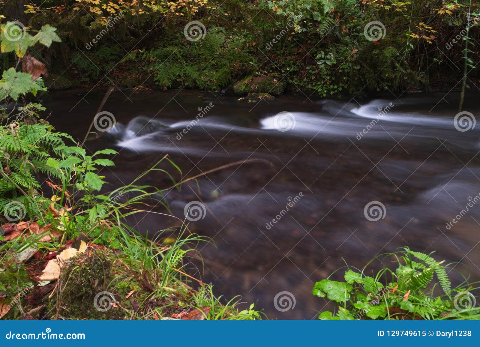 Long Exposure Photographs Of Rolling River With Fall Foliage Royalty ...