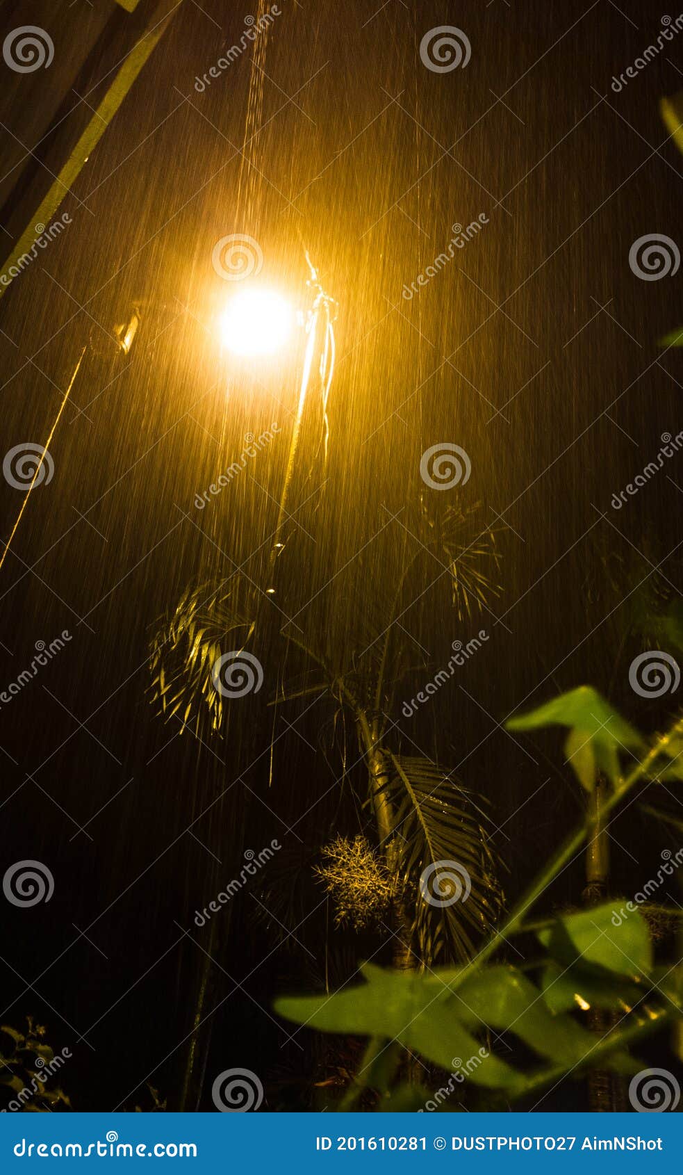 Long-exposureÂ rain at Night View Stock Image - Image of leaf, branch ...