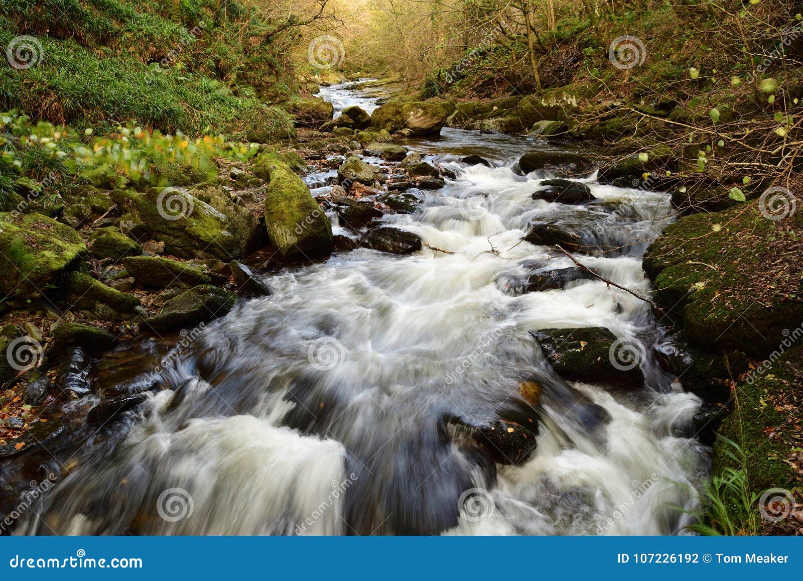 Watersmeet in Devon stock photo. Image of rural, flowing - 107226192