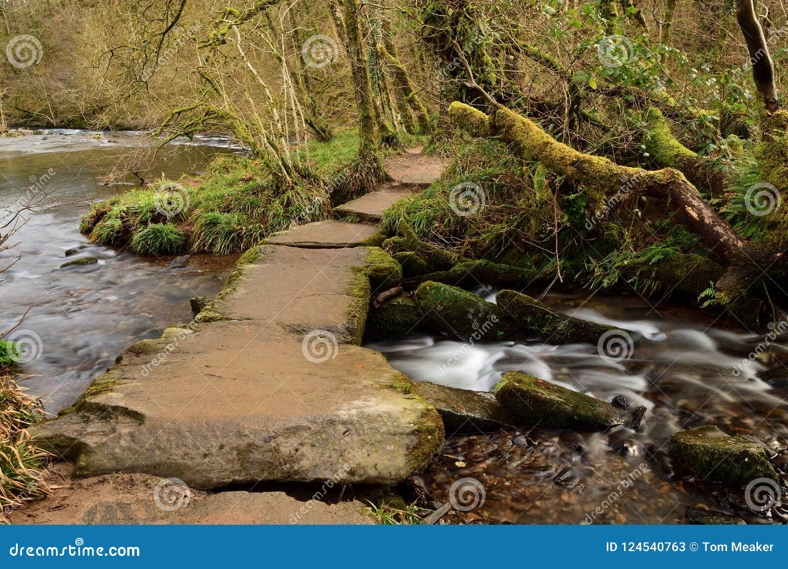 Tarr steps in Devon stock image. Image of water, outdoor - 124540763