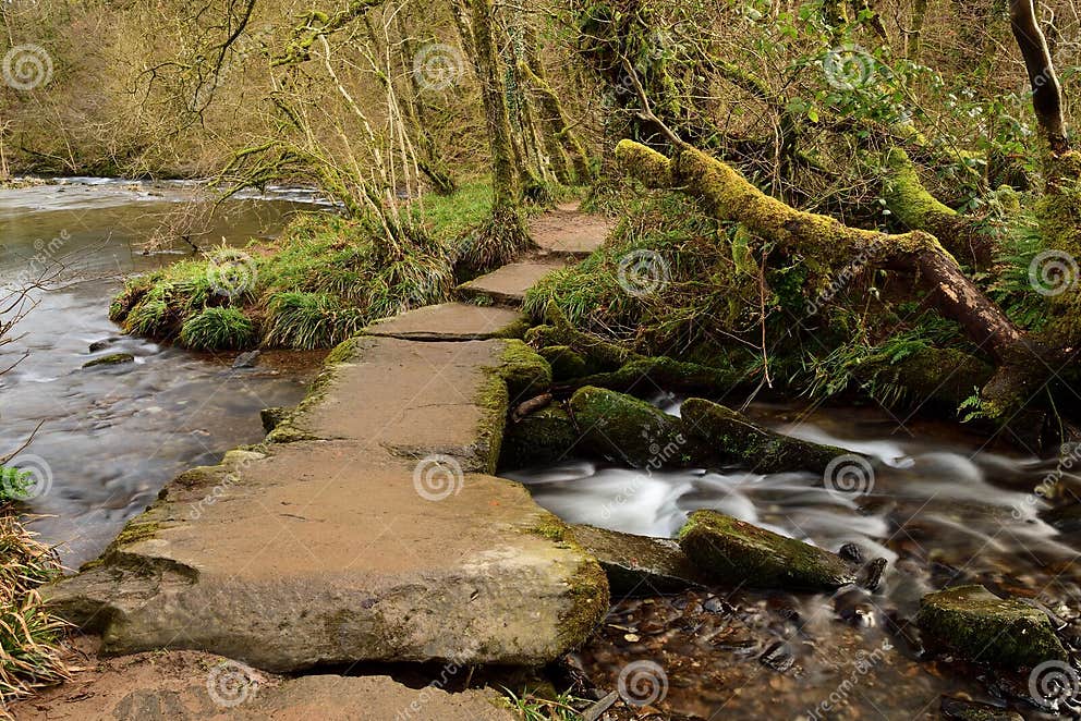 Tarr steps in Devon stock image. Image of water, outdoor - 124540763