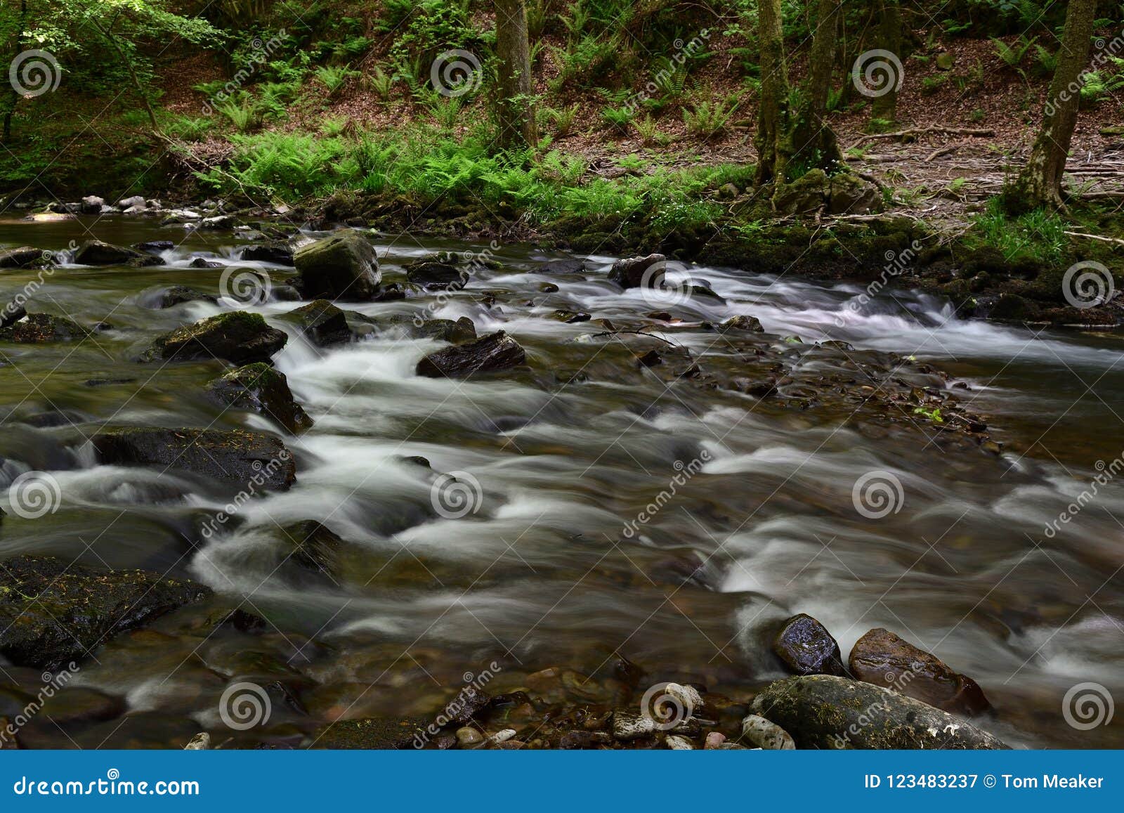 Watersmeet in Devon stock image. Image of national, outdoors - 123483237