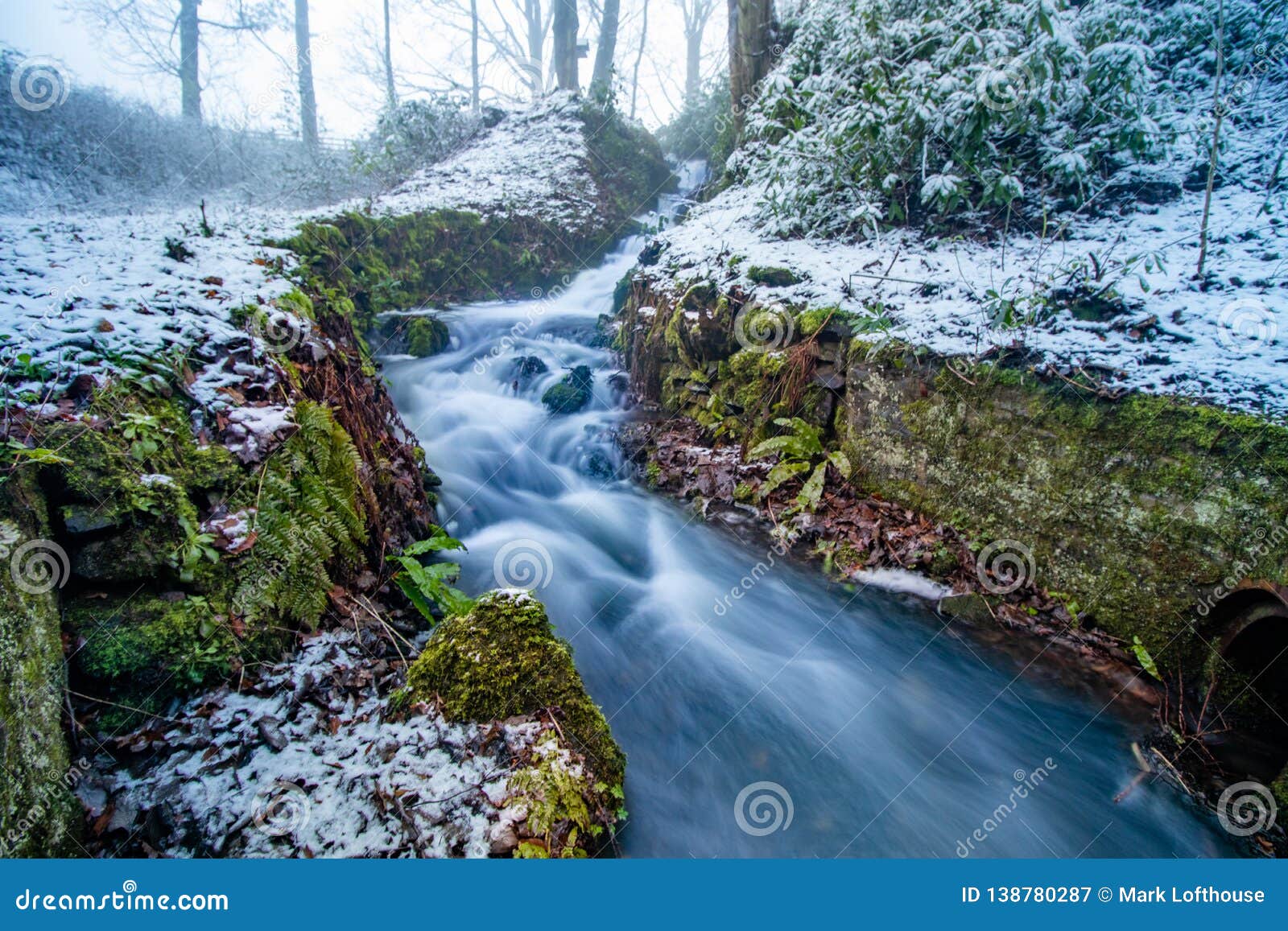 Long Exposure Rushing Stream in Winter Stock Image - Image of trees ...