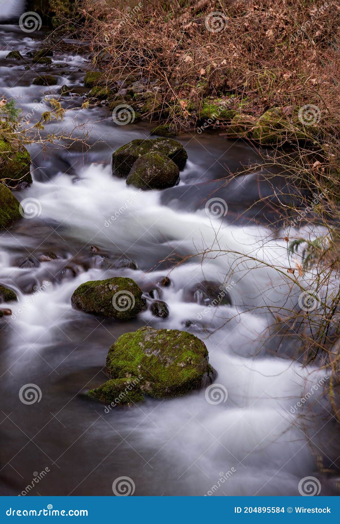Long Exposure Shot of a River Flowing through a Forest Stock Photo ...