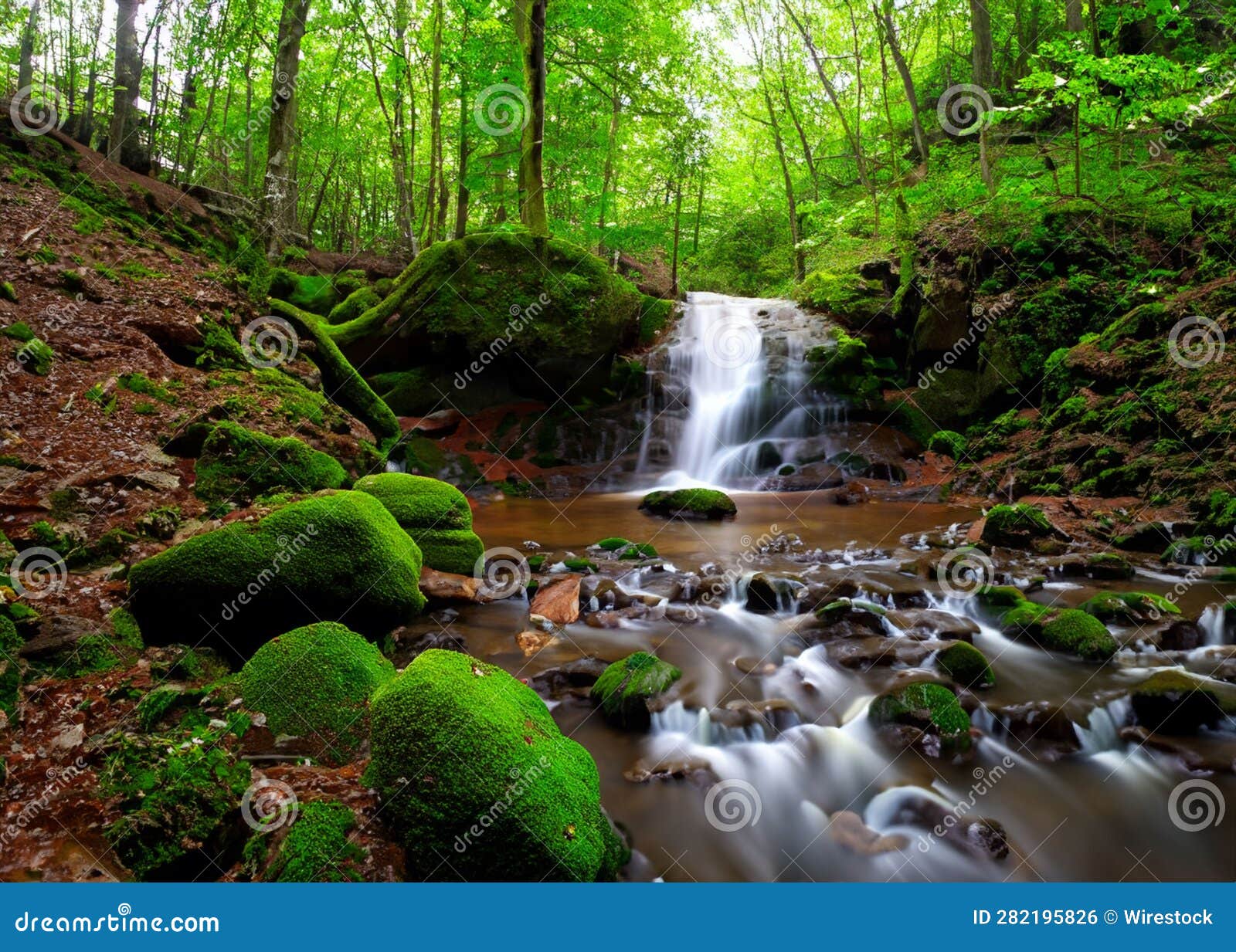 Long Exposure Shot of a Small Tropical Waterfall in a Forest. Stock ...