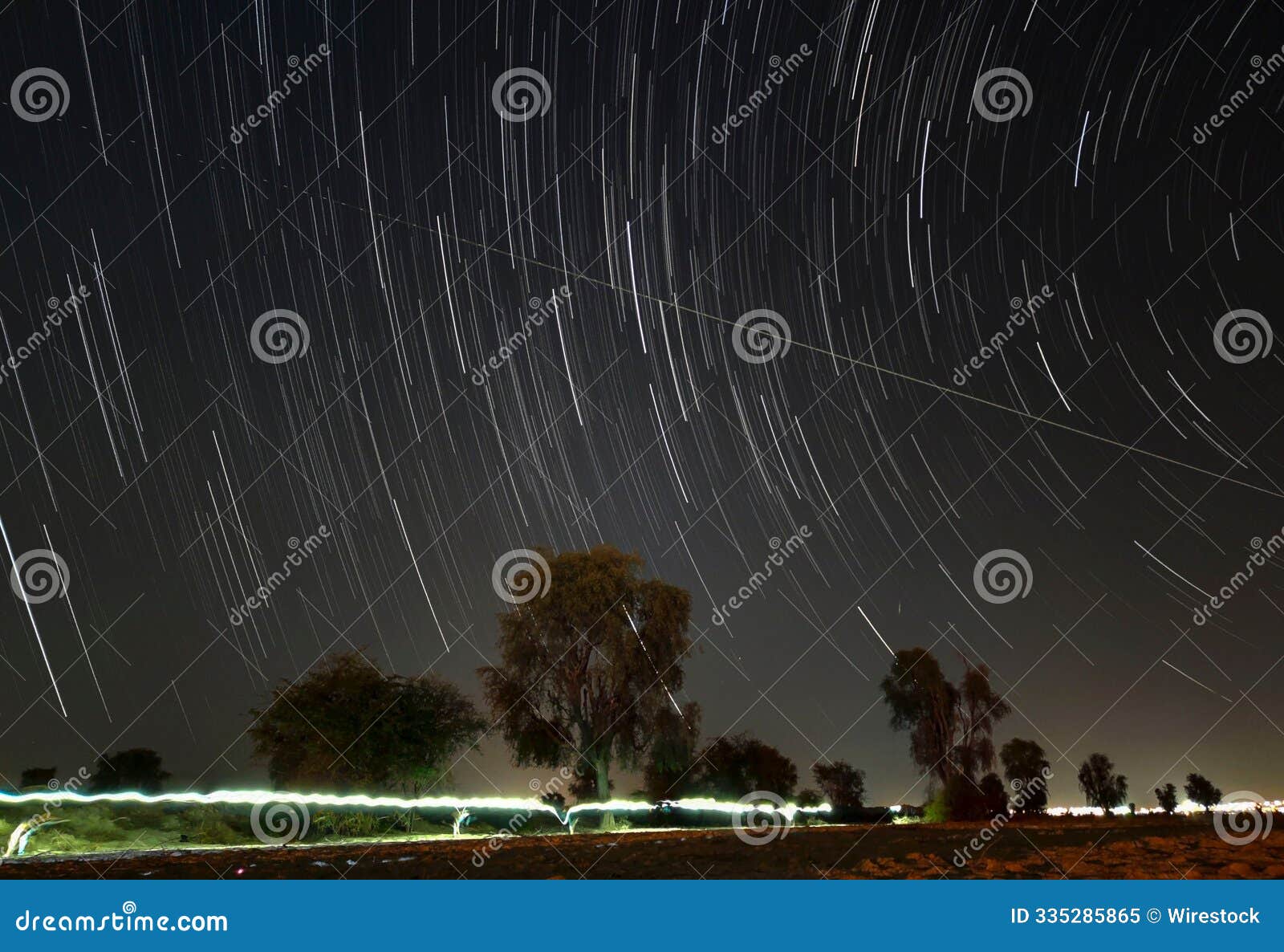 Long Exposure Shot of Star Trails Over Trees in a Nighttime Landscape ...