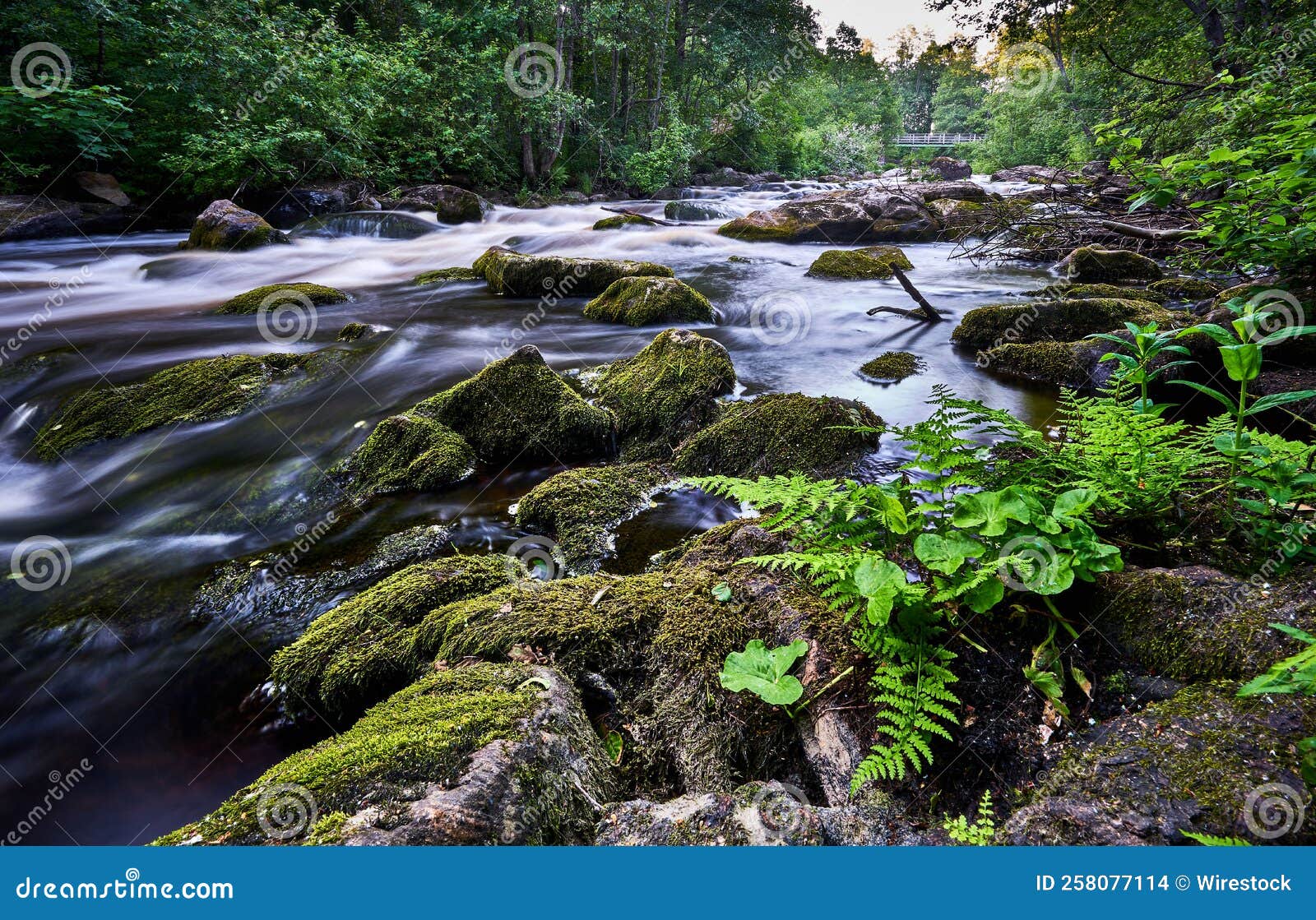Long Exposure Shot of a Waterfall Flowing Over Mossy Rocks in a Forest ...