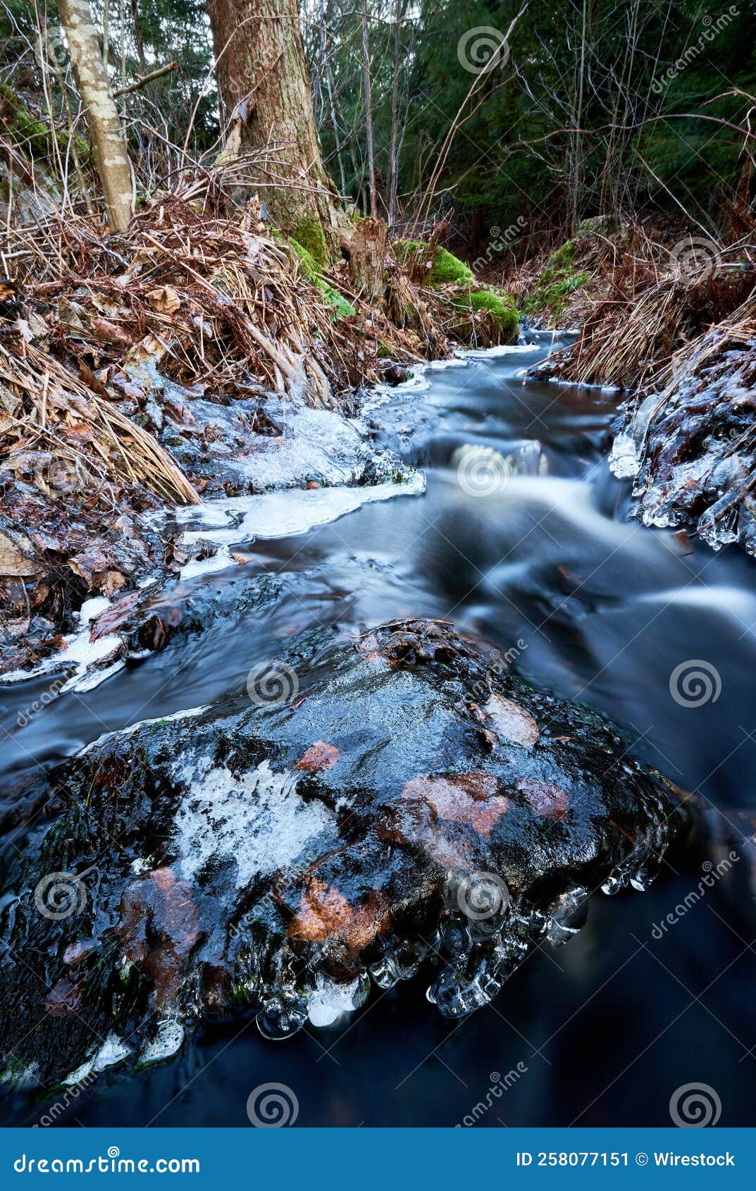 Long Exposure Shot of a Waterfall Flowing Over the Rocks in a Forest ...