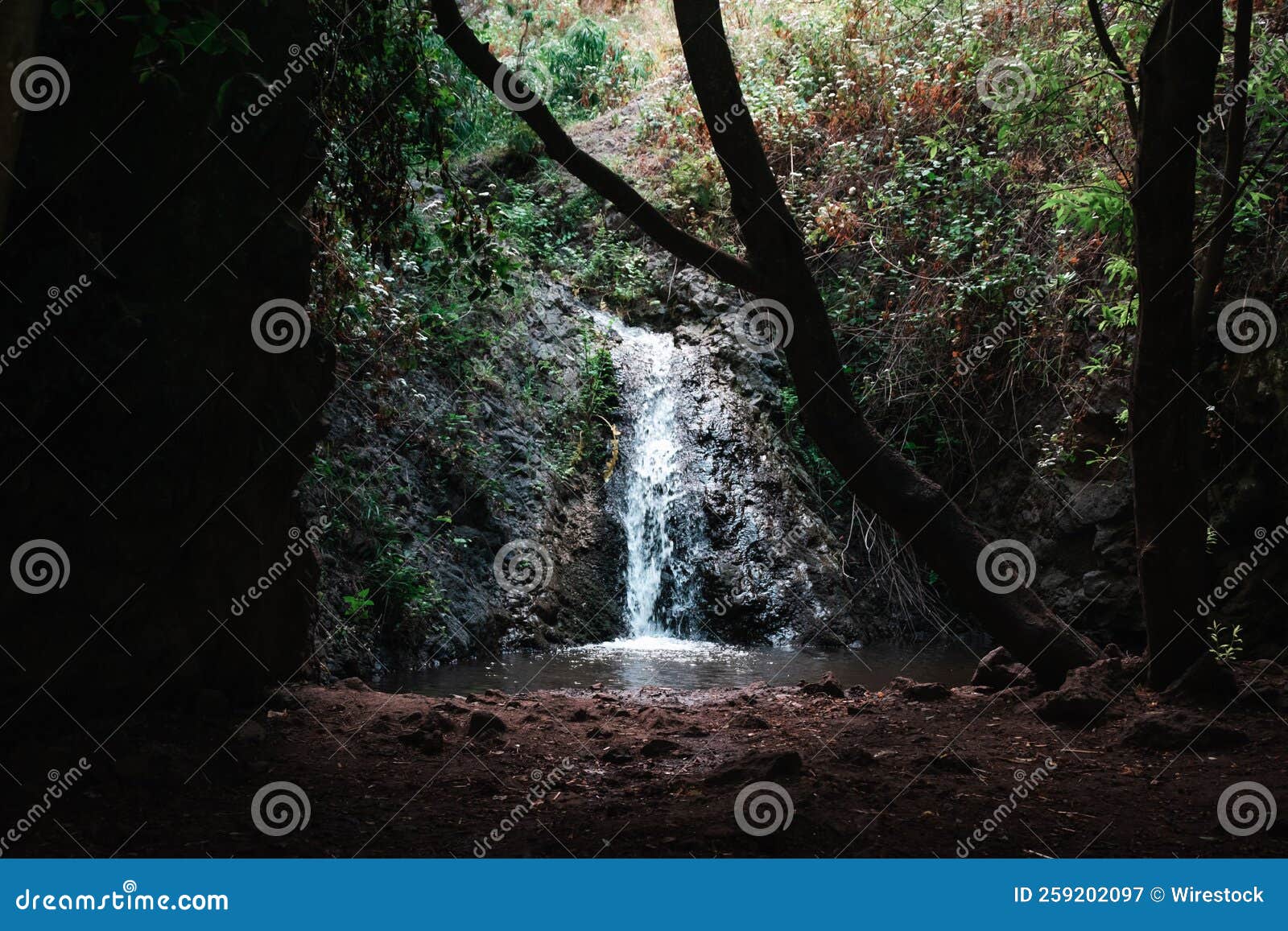 Long Exposure of a Small Waterfall Running Down in Canary Islands ...