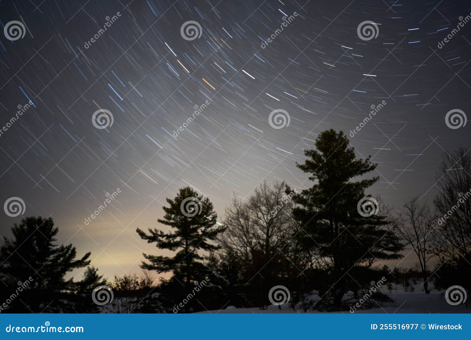 Long Exposure of Star Track at Night Seen Behind Treetrops Stock Image ...
