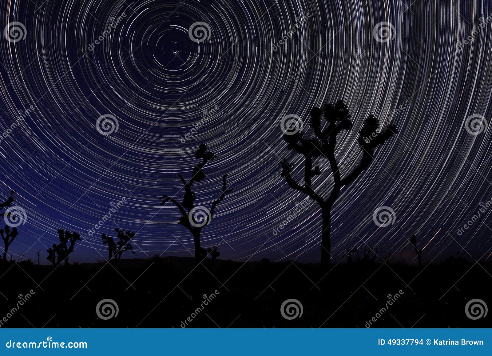 Long Exposure Star Trails in Joshua Tree National Park Stock Photo ...