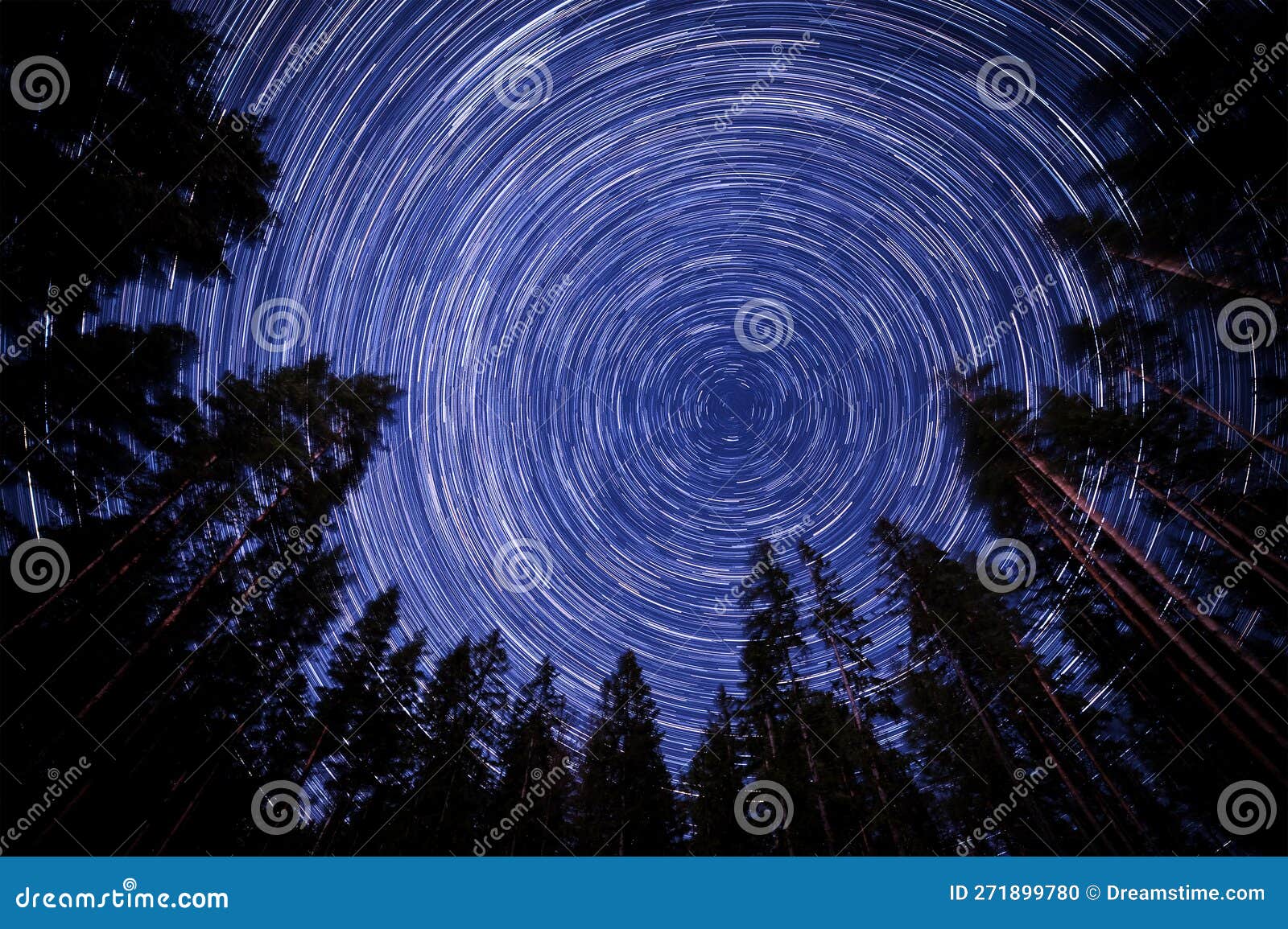 Long Exposure Star Trails in Night Sky Stock Photo - Image of pine ...