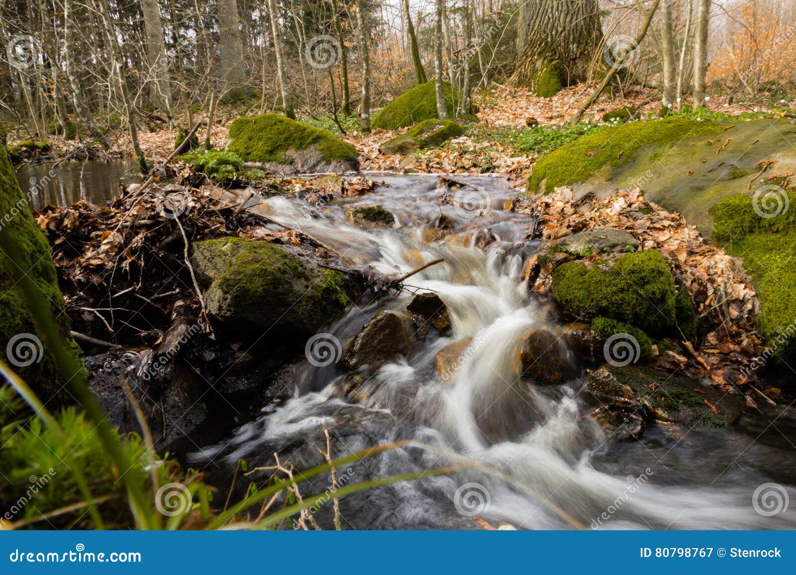 Long exposure stream stock image. Image of outdoors, tranquil - 80798767
