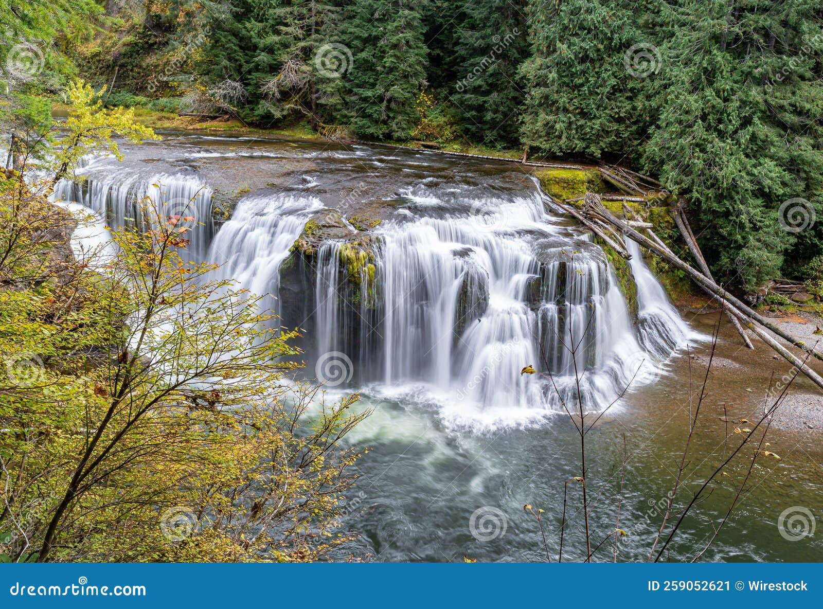Long Exposure View of Lower Lewis River Falls in the Forest Stock Image ...
