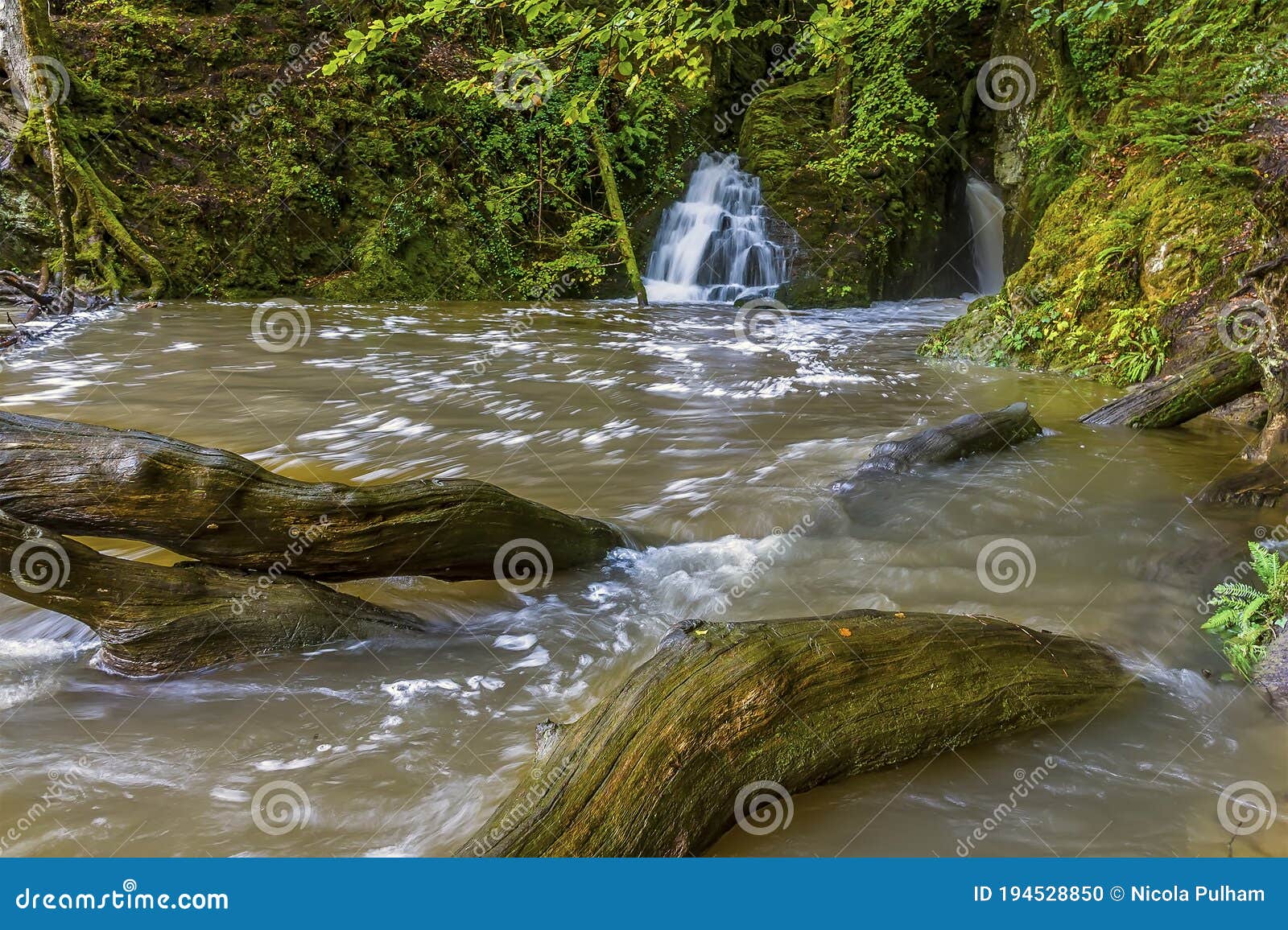 A Long Exposure View Of Submerged Tree Trunks In Front Of The Waterfall ...