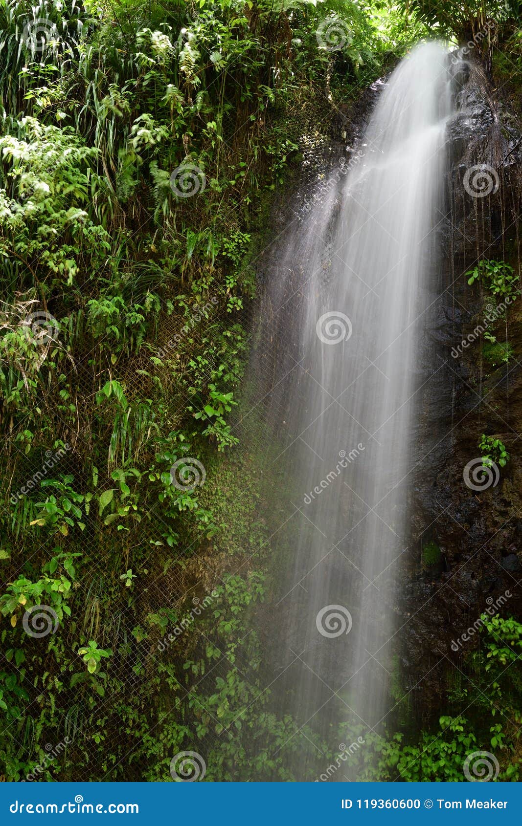 Waterfall in Saint Lucia stock photo. Image of idyllic - 119360600