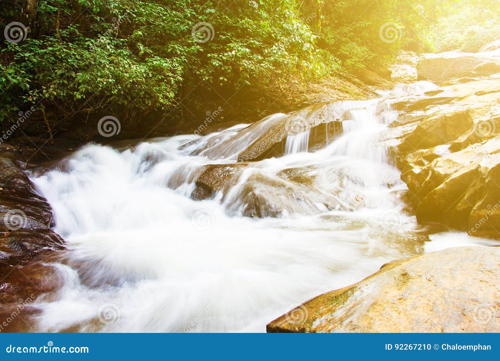 Long Exposure Waterfall in Forrest. Stock Photo - Image of green, wood ...