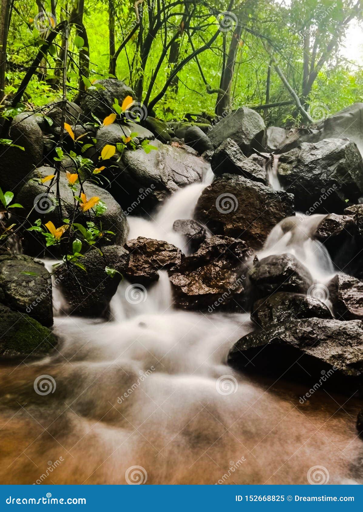 Long Exposure Waterfall stock image. Image of longexposure - 152668825