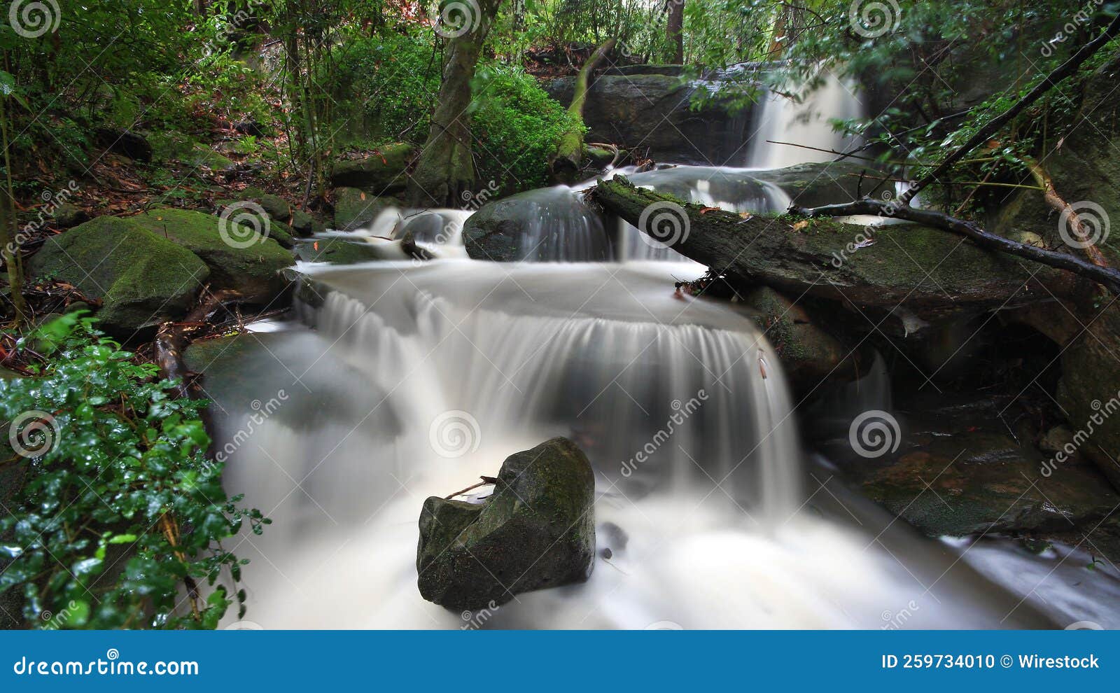 Long Exposure of a Waterfall in the Woods Stock Photo - Image of nature ...