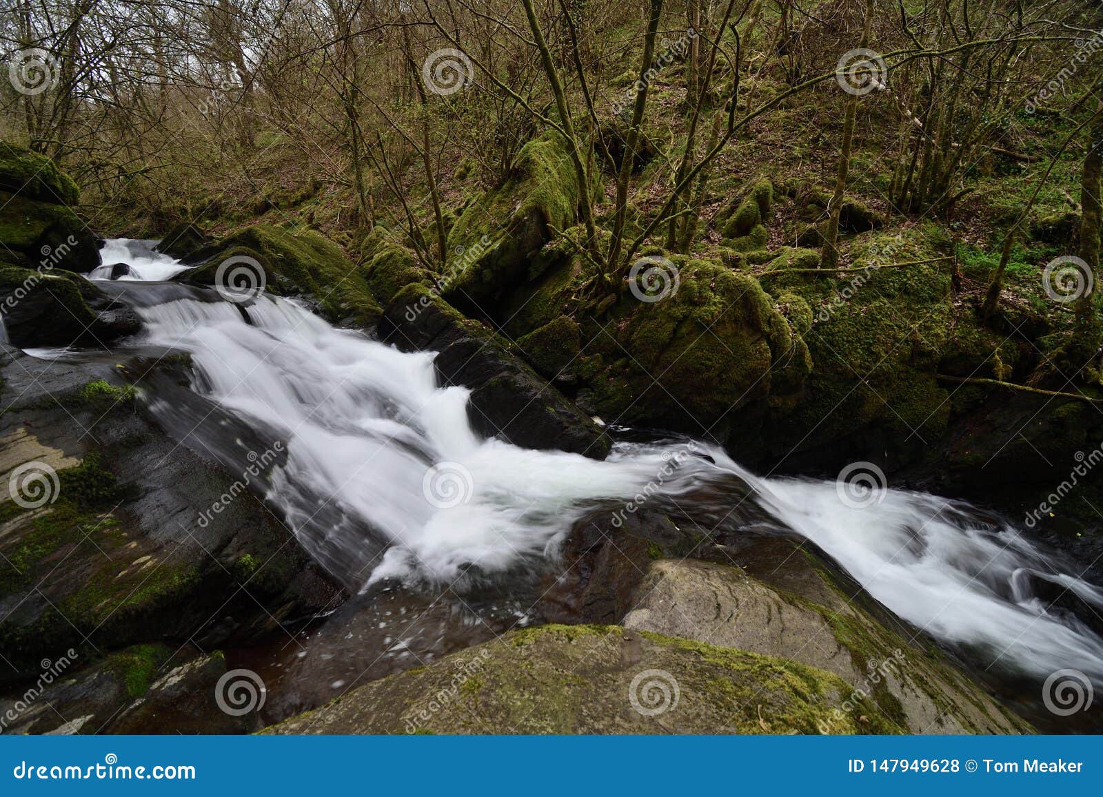Watersmeet in Devon stock photo. Image of colour, natural - 147949628