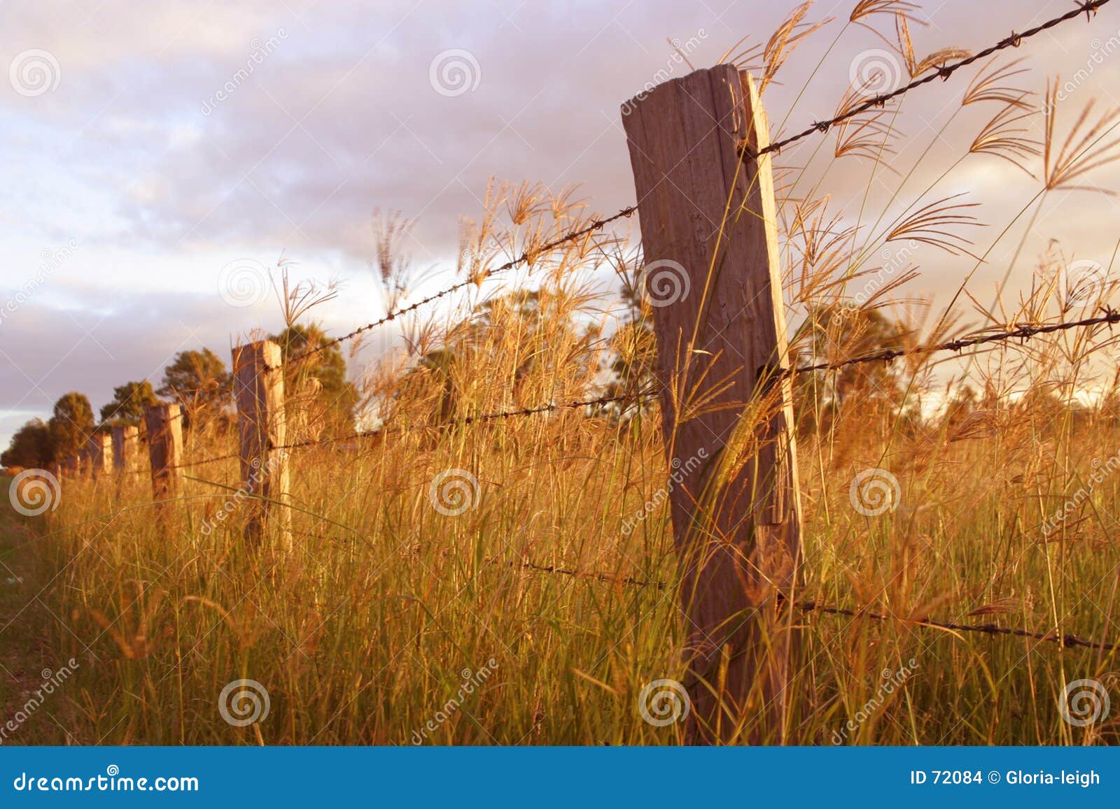 Long Fence stock photo. Image of country, sunset, barbed - 72084
