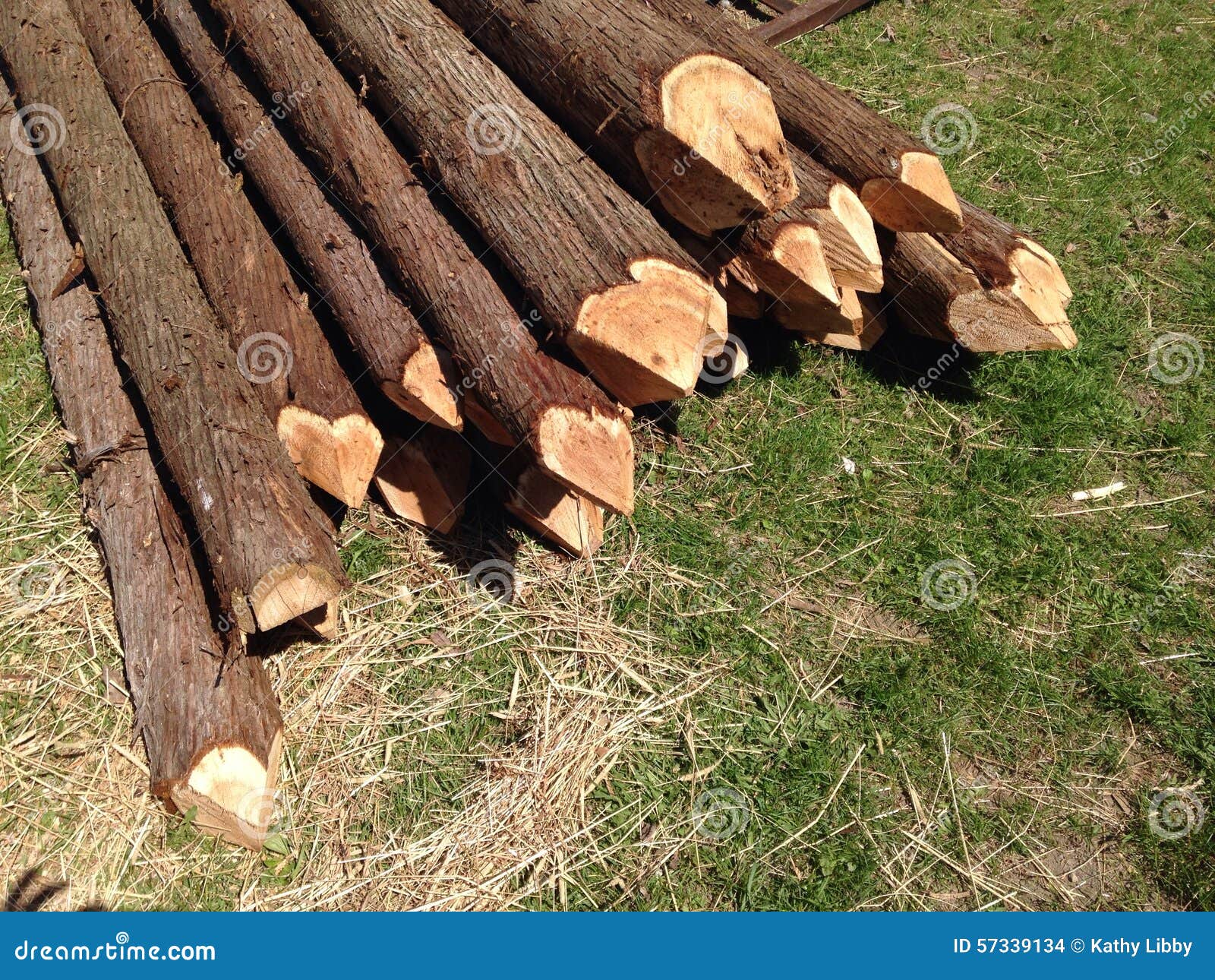 Long fence posts stock photo. Image of trees, posts, pile - 57339134