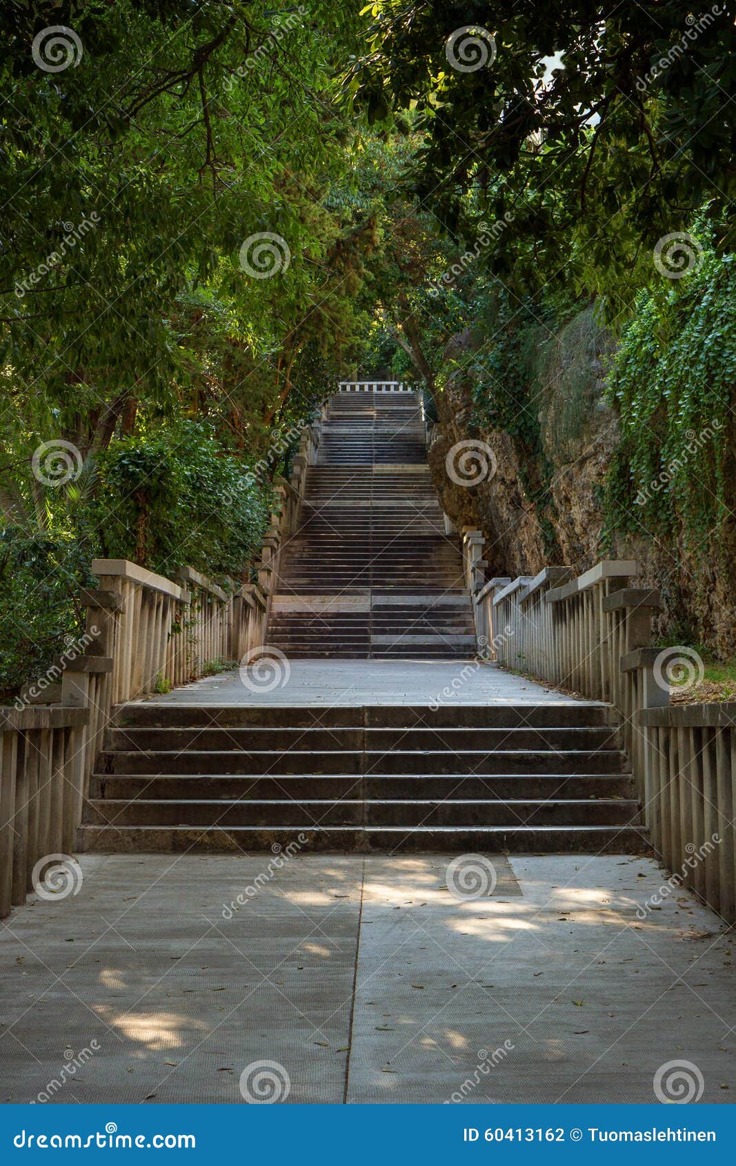 Long Flight of Stony Steps Surrounded by Trees Stock Photo - Image of ...