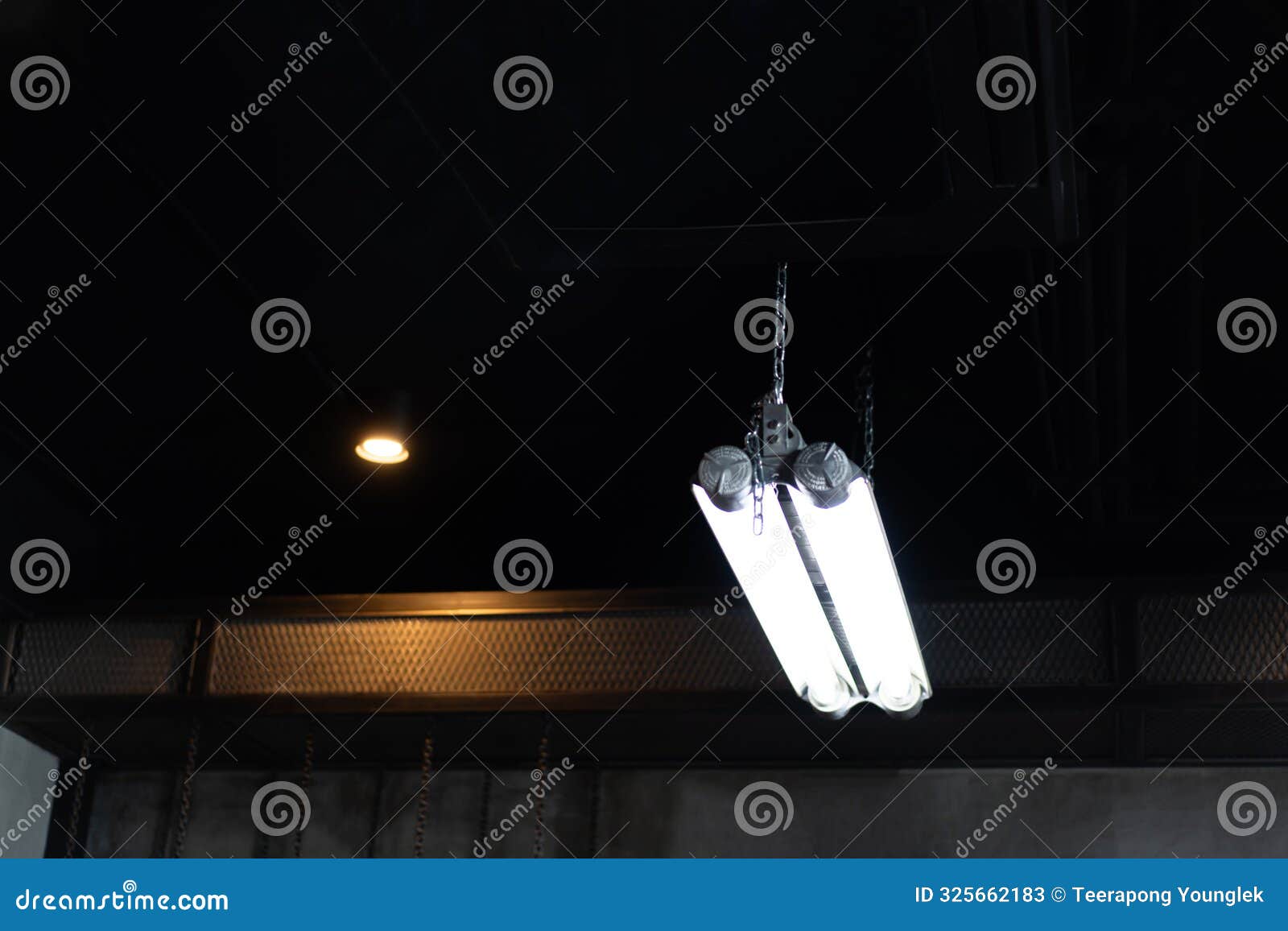 Long Fluorescent Tube ,LED Bulbs and Strips Installed on the Ceiling of ...